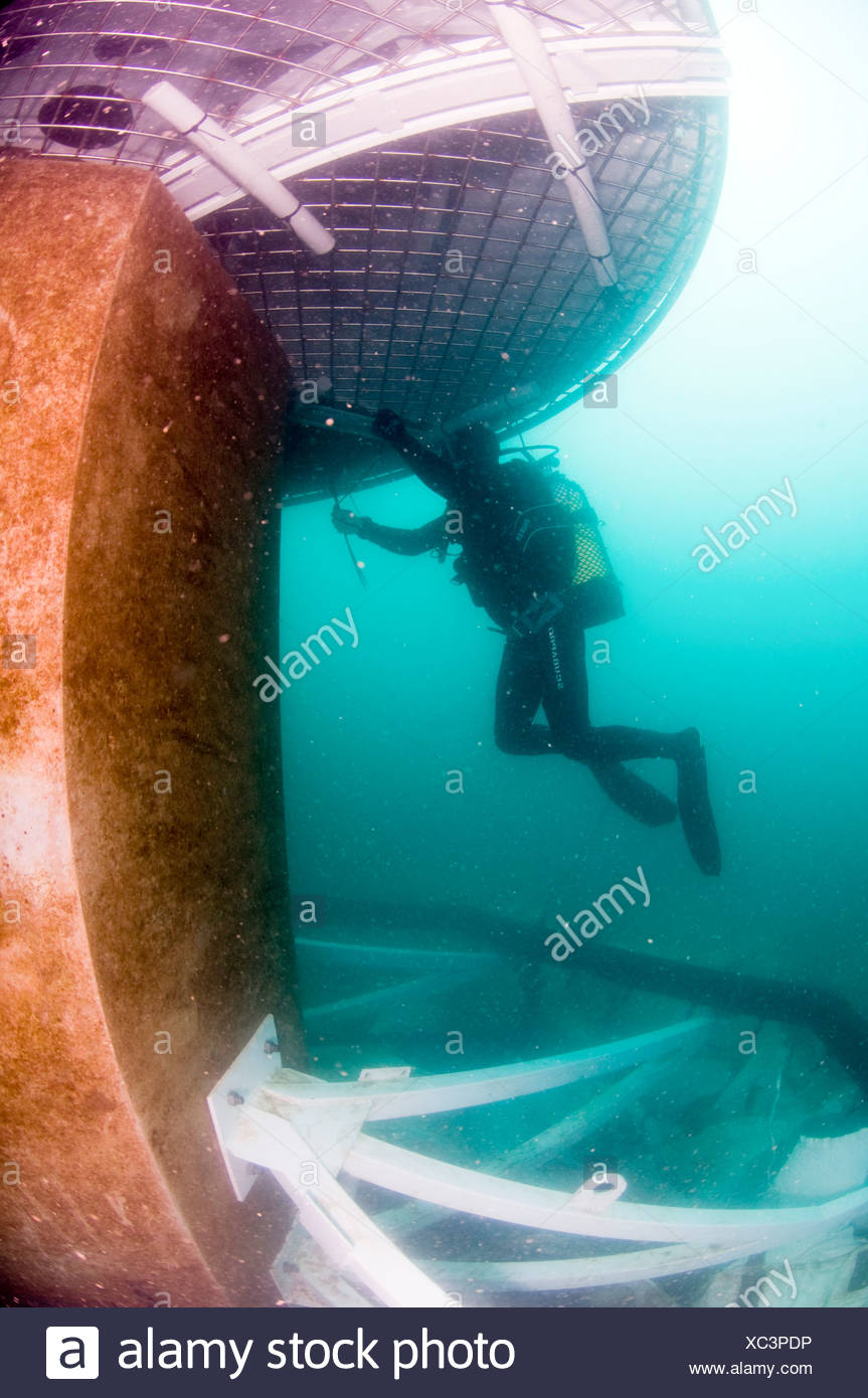 Professional Diver At Work Underwater High Resolution Stock Photography ...