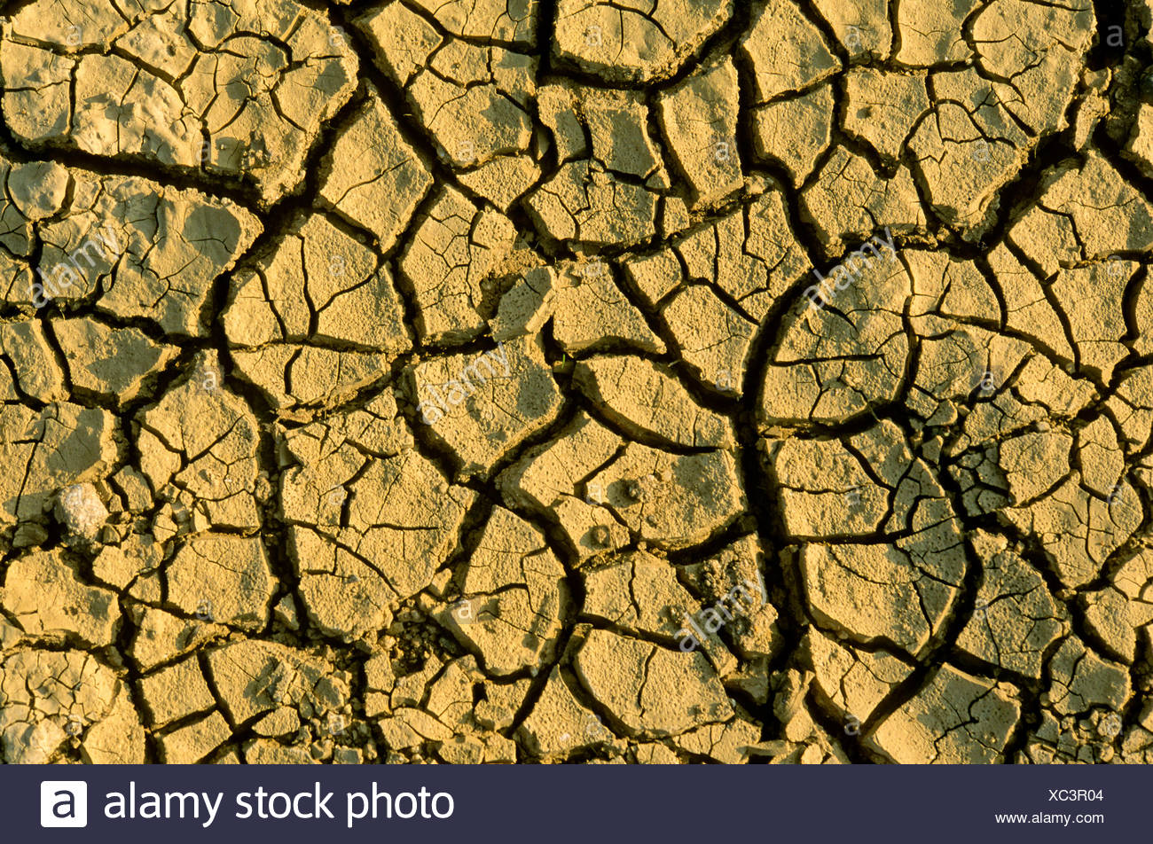 Parched Soil High Resolution Stock Photography and Images - Alamy