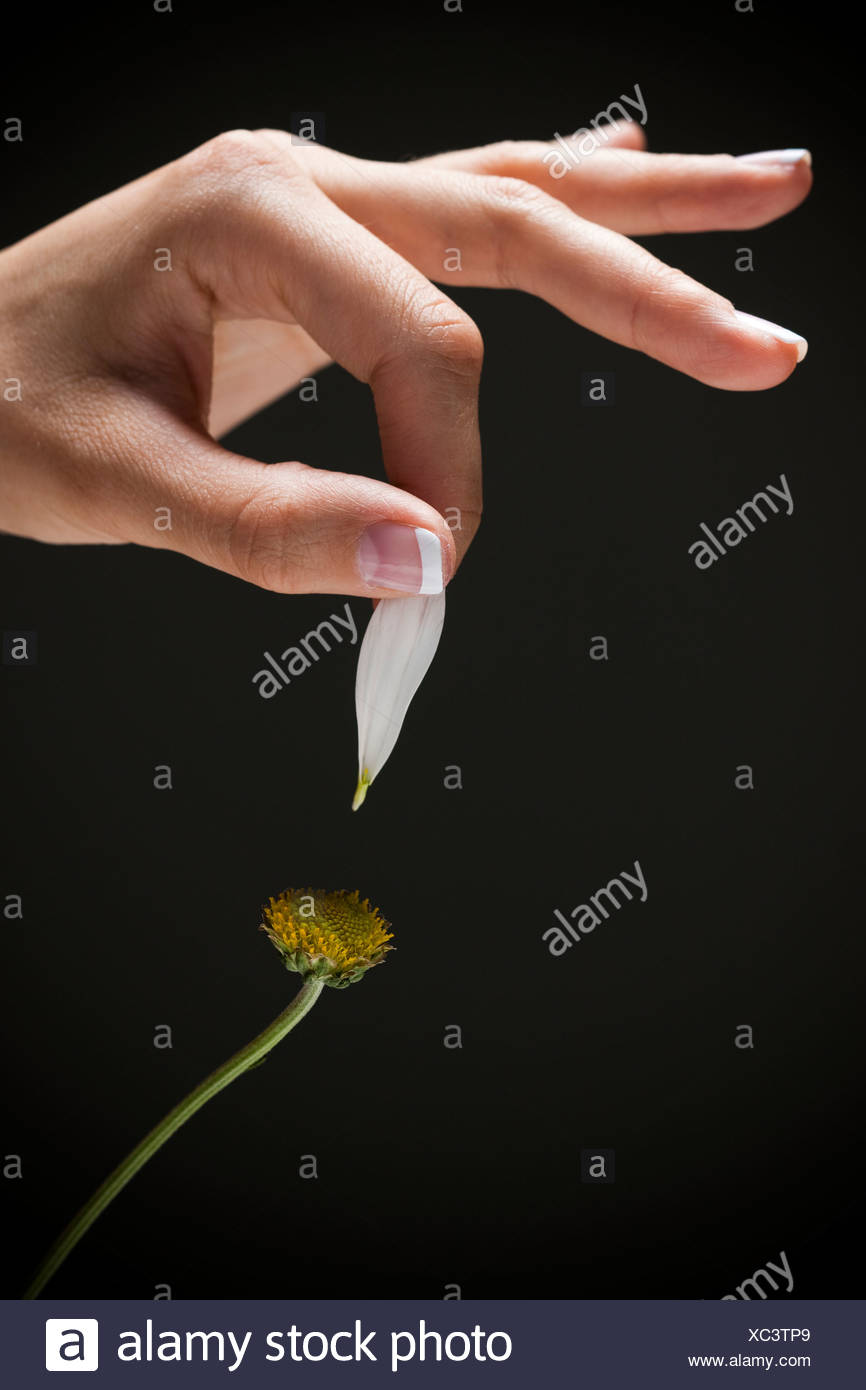 How They Pluck Her High Resolution Stock Photography and Images - Alamy