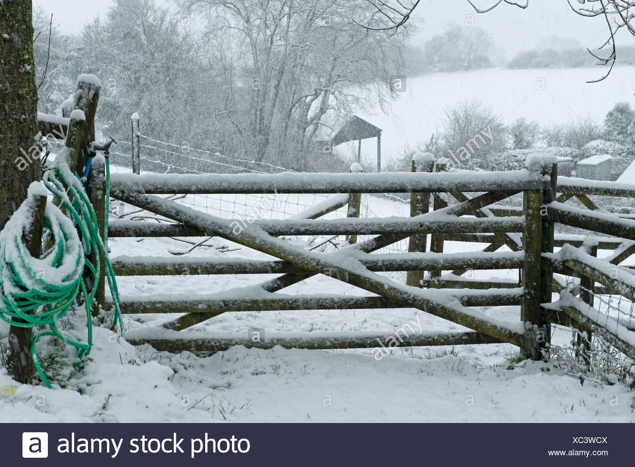 Field Gate High Resolution Stock Photography and Images - Alamy