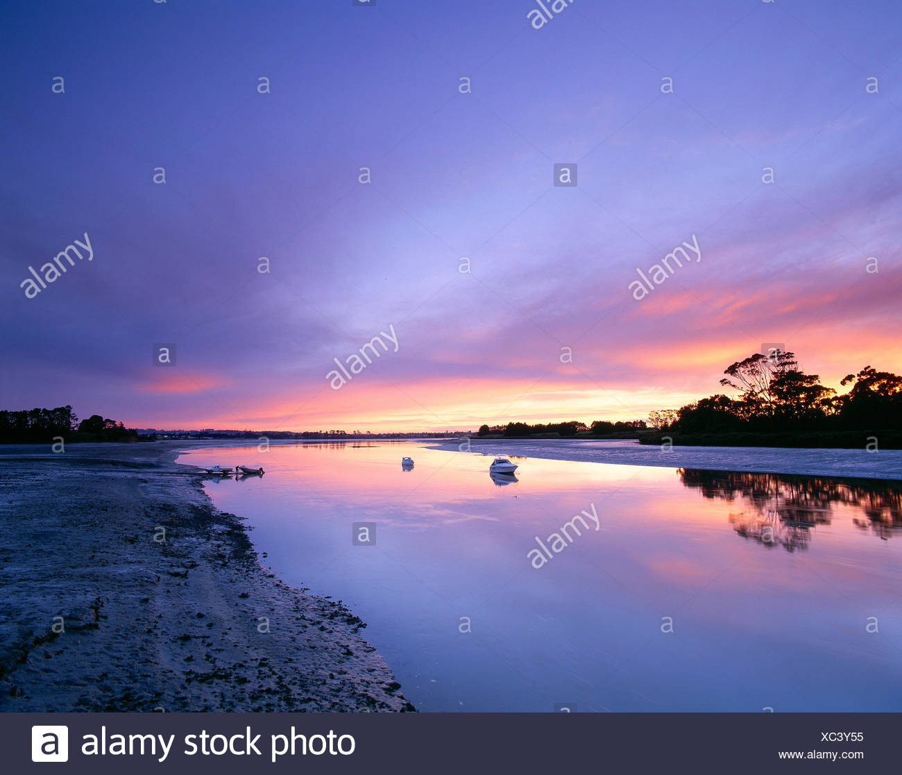 Harbour New Zealand High Resolution Stock Photography and Images - Alamy