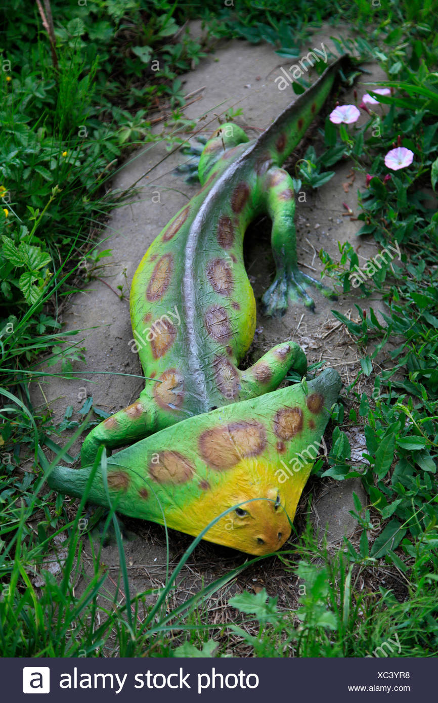 Diplocaulus Stock Photos & Diplocaulus Stock Images - Alamy