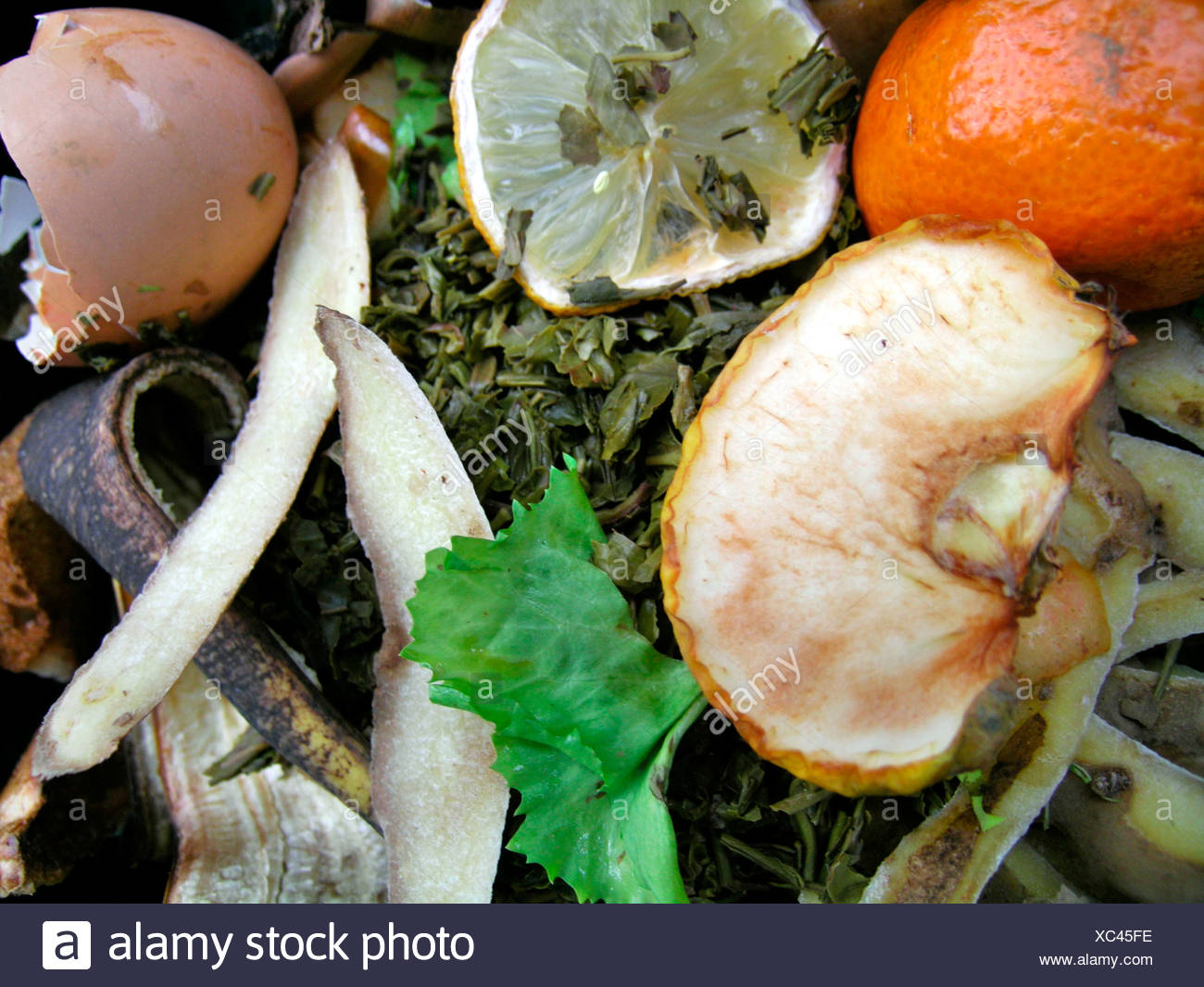 Organic Waste Kitchen Stock Photos & Organic Waste Kitchen Stock Images ...