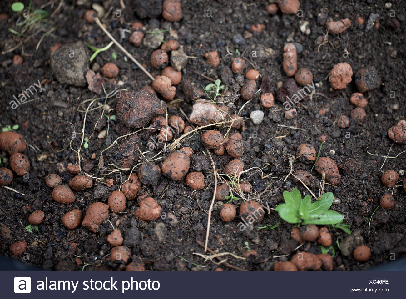 Expanded Clay Aggregate High Resolution Stock Photography and Images ...