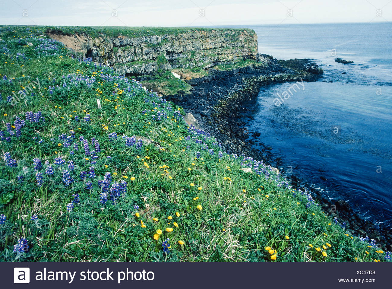 Pribilof Stock Photos & Pribilof Stock Images - Alamy