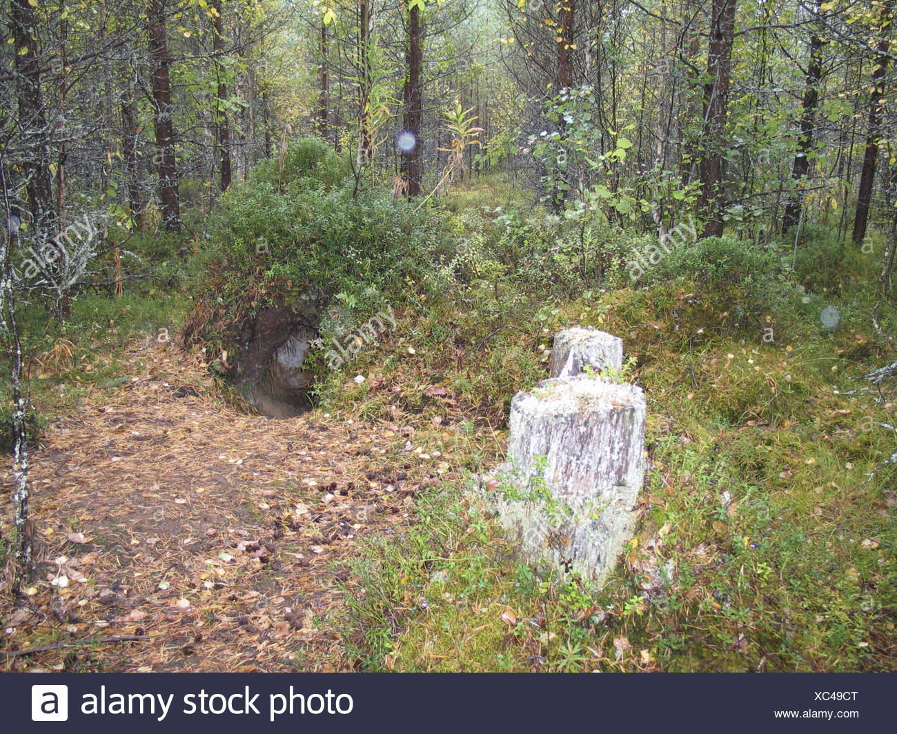 Bears Den High Resolution Stock Photography and Images - Alamy