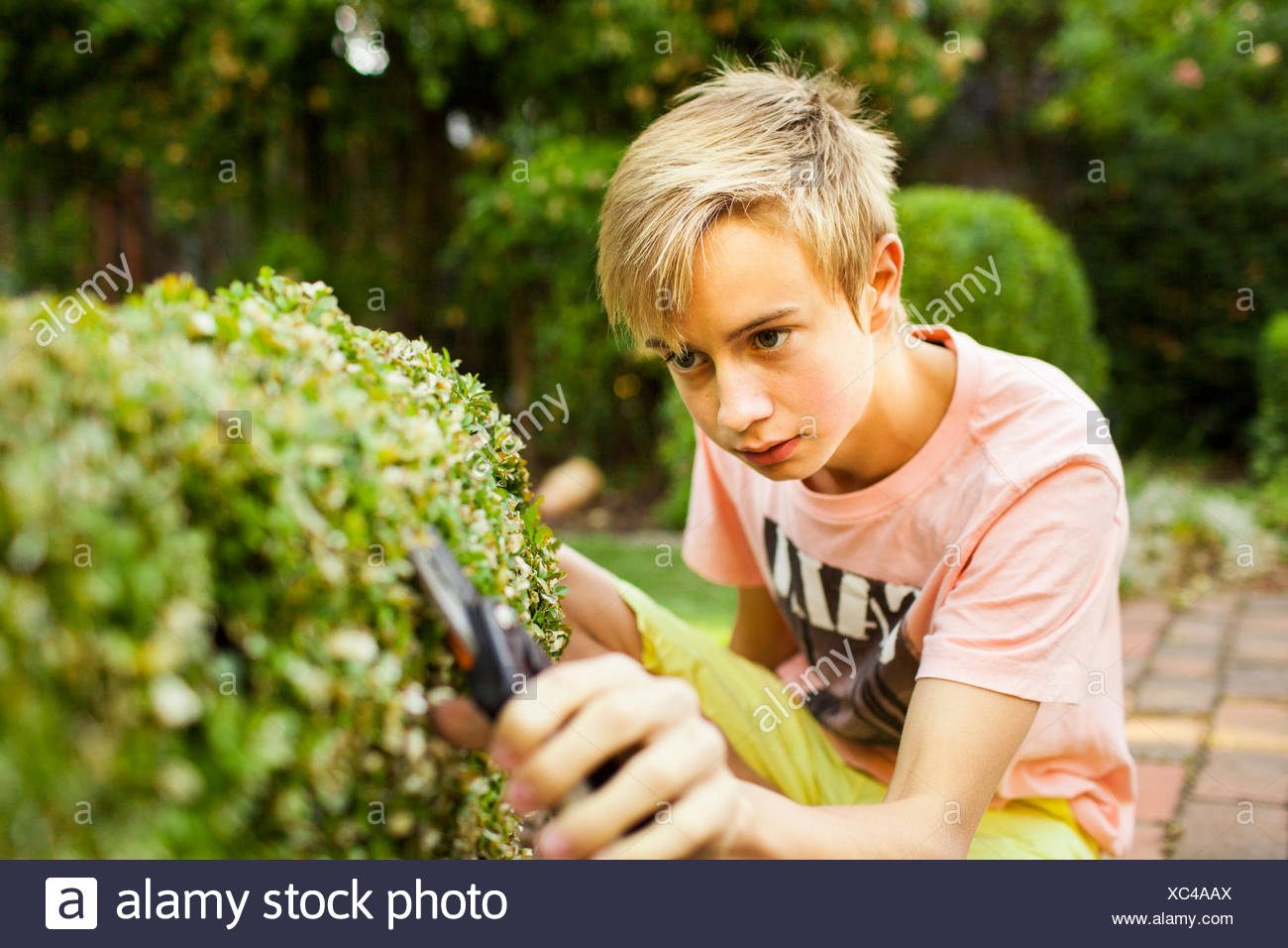 Boy In The Bush High Resolution Stock Photography and Images - Alamy