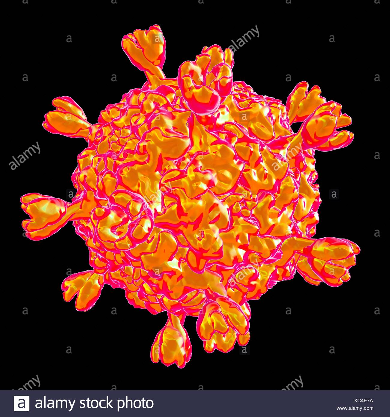 Smallpox Virion High Resolution Stock Photography and Images - Alamy