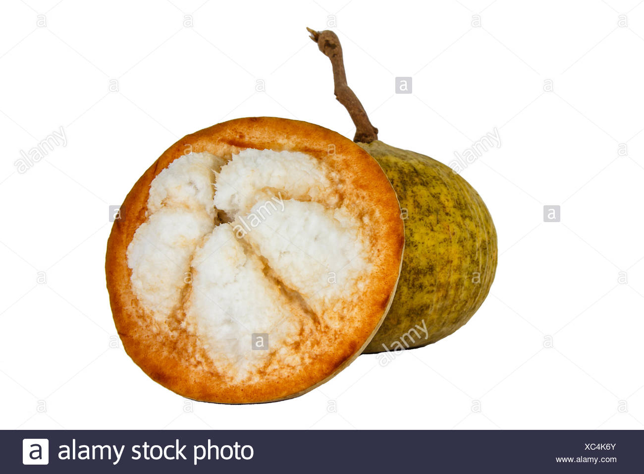 Krathon High Resolution Stock Photography and Images - Alamy