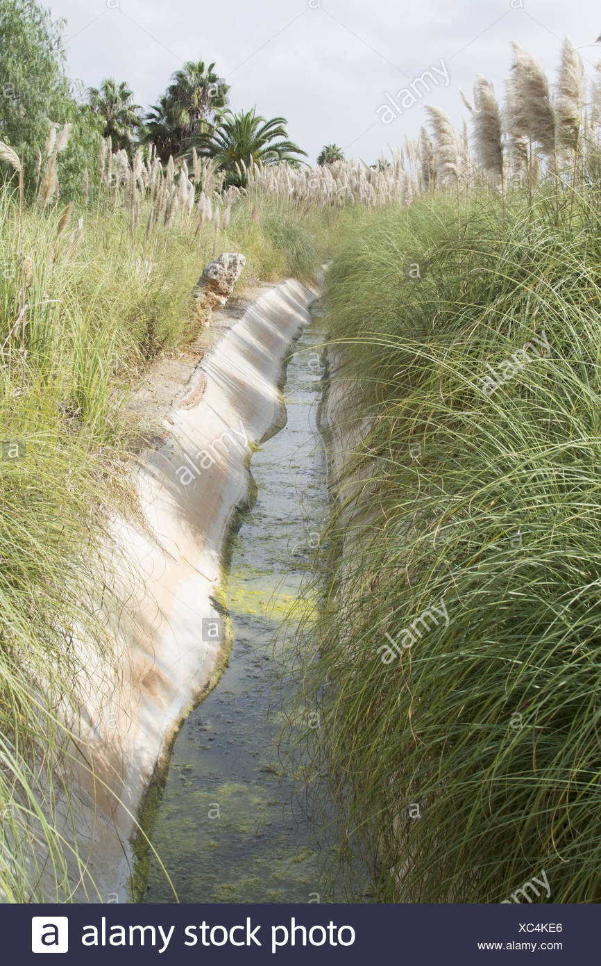 Channel Irrigation High Resolution Stock Photography and Images - Alamy