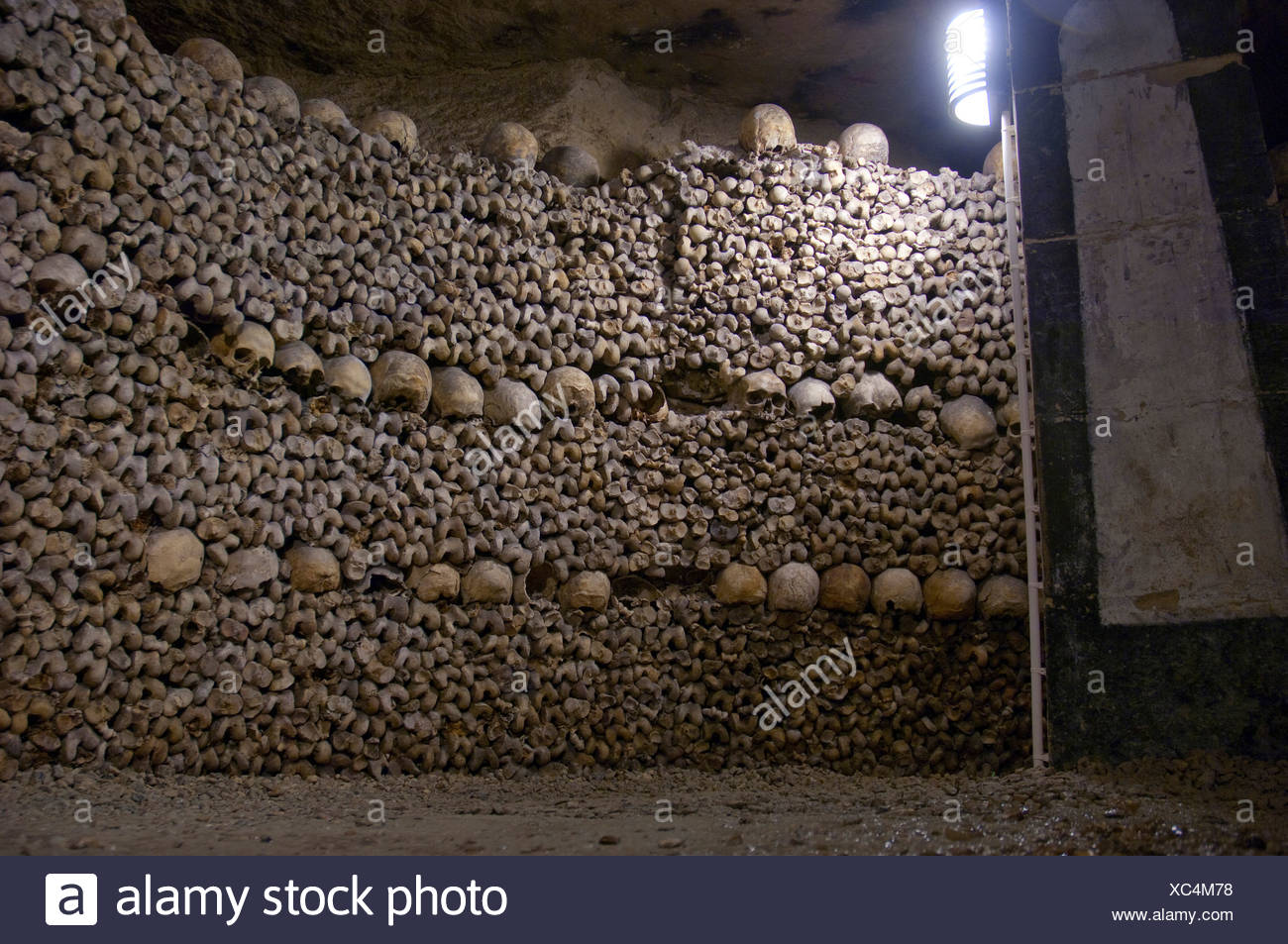 Human Skulls Wall High Resolution Stock Photography and Images - Alamy