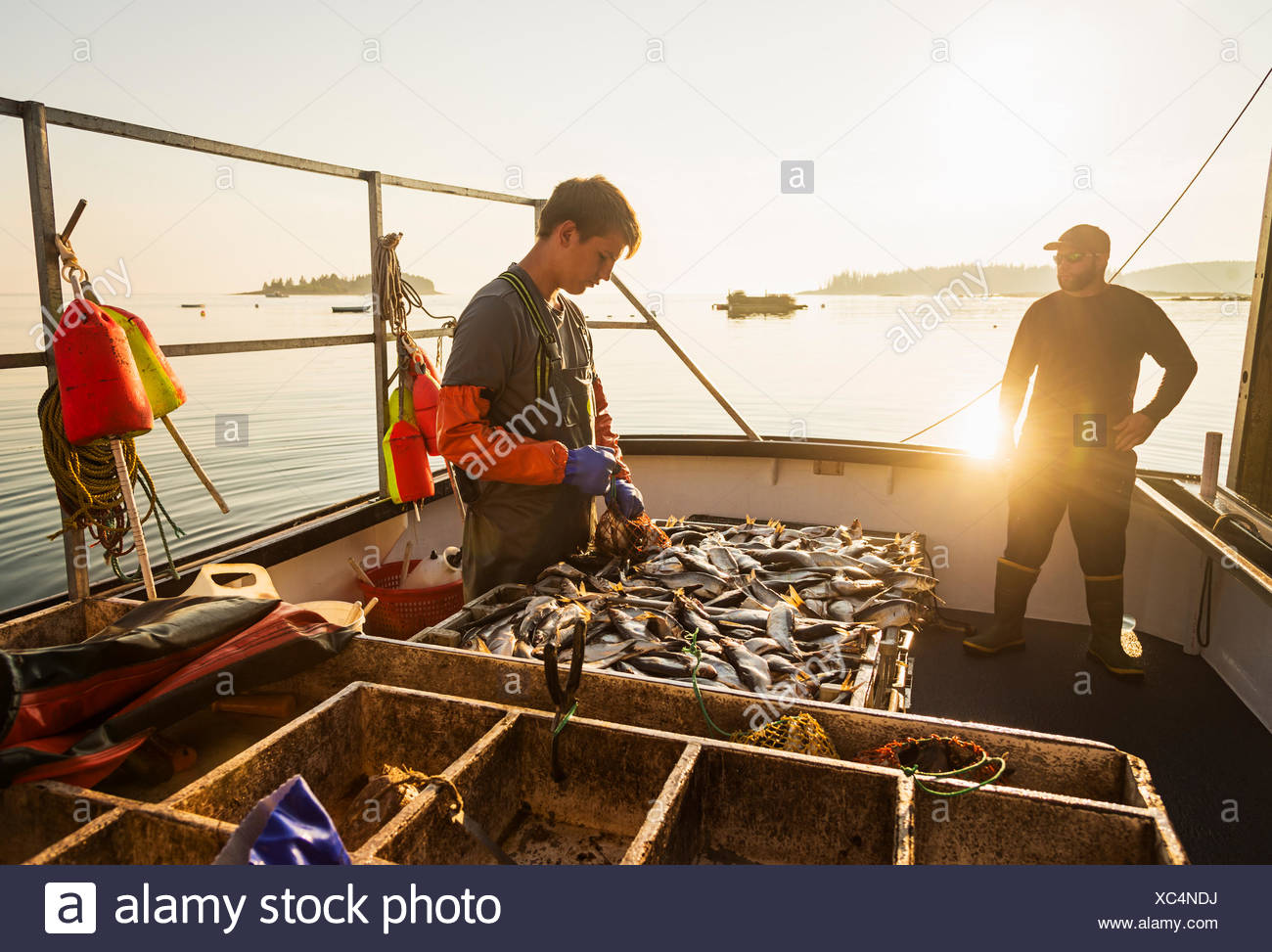 Lobstering Boats High Resolution Stock Photography and Images - Alamy