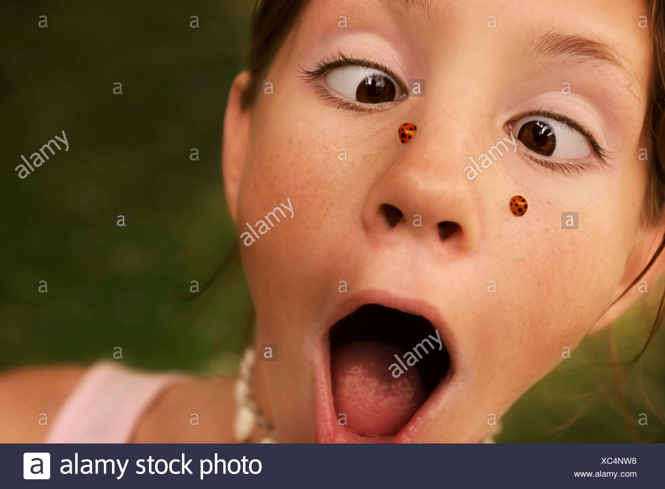Screaming Insect High Resolution Stock Photography and Images - Alamy