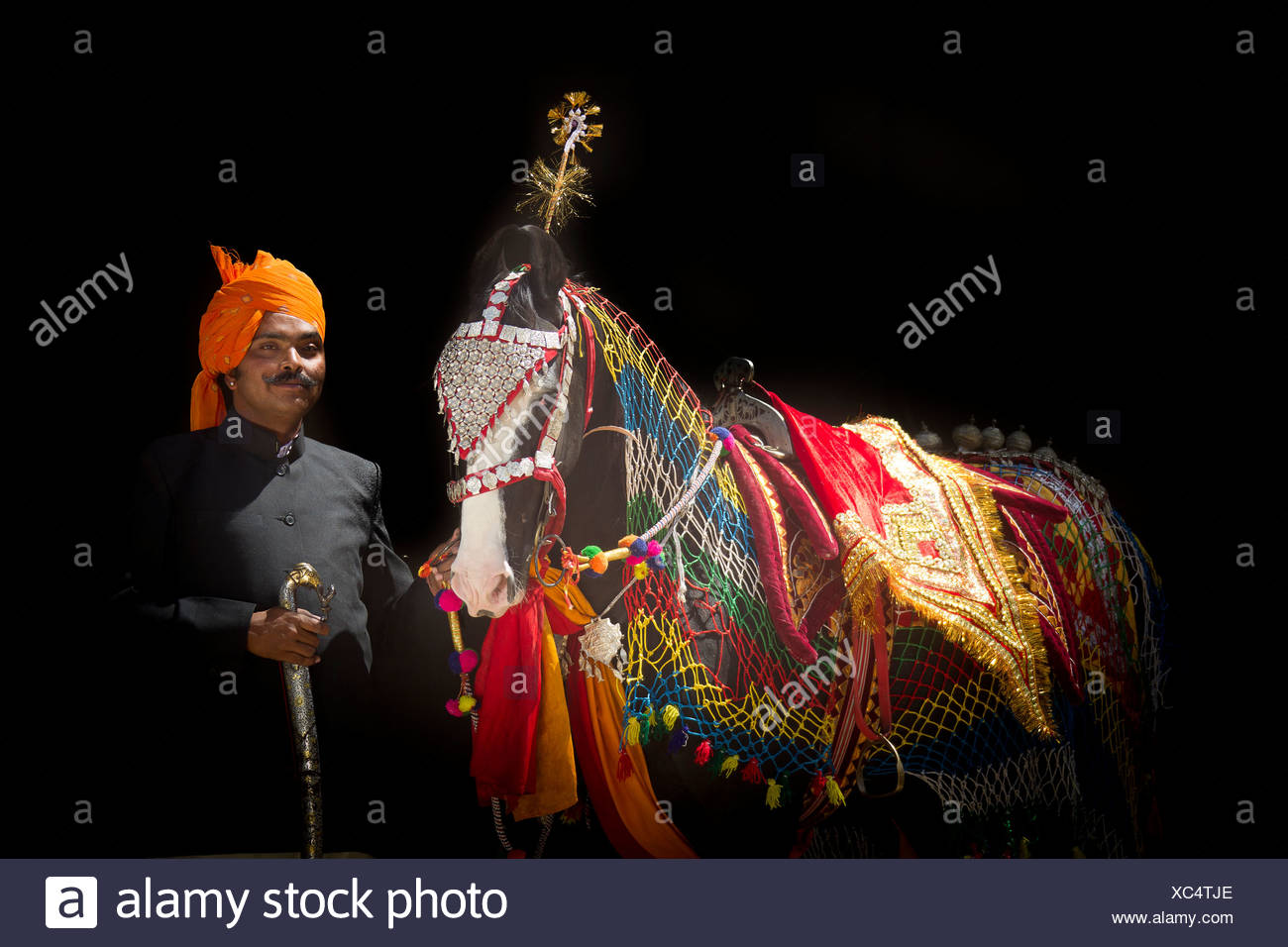Man Standing Next Horse Stock Photos & Man Standing Next Horse Stock ...