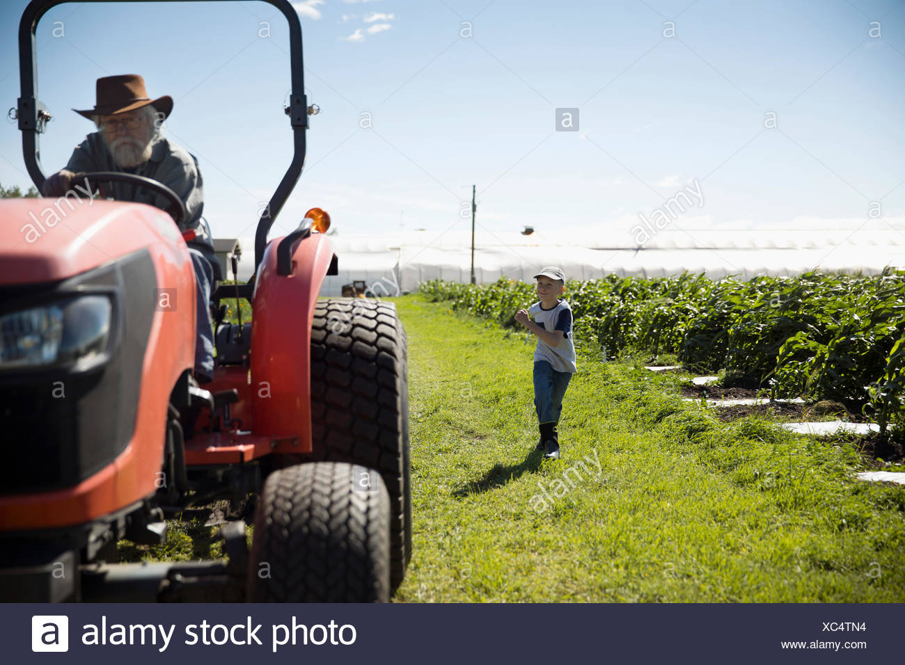 Man Driving Tractor Stock Photos & Man Driving Tractor Stock Images - Alamy