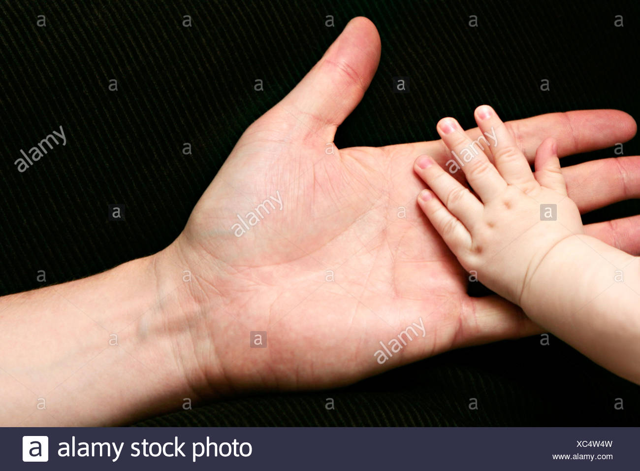 Small And Big Contrast High Resolution Stock Photography and Images - Alamy