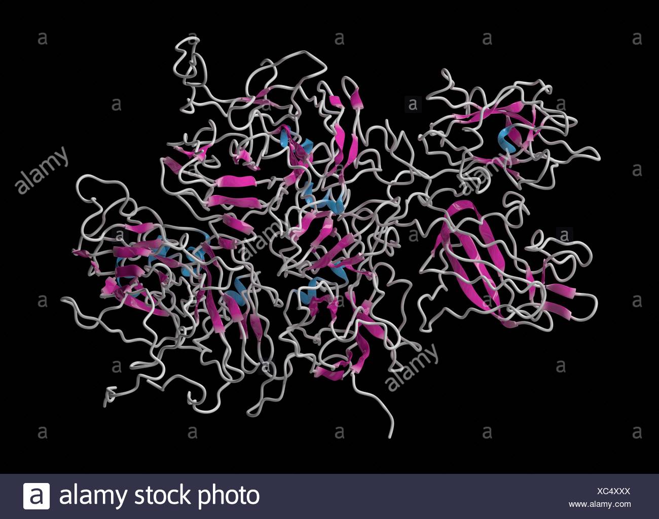 Coagulation Factor High Resolution Stock Photography and Images - Alamy