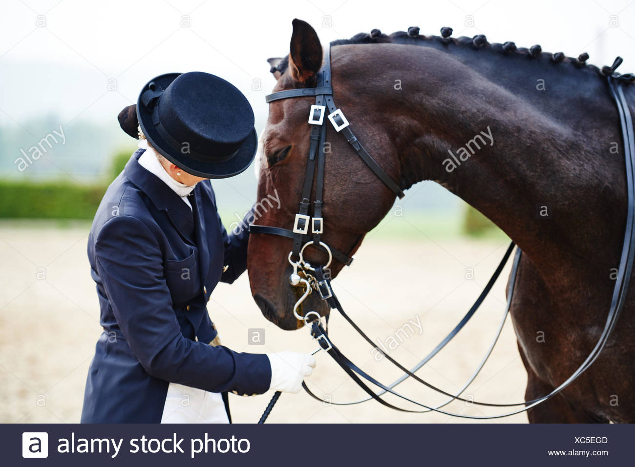 Female Dressage Rider High Resolution Stock Photography and Images - Alamy