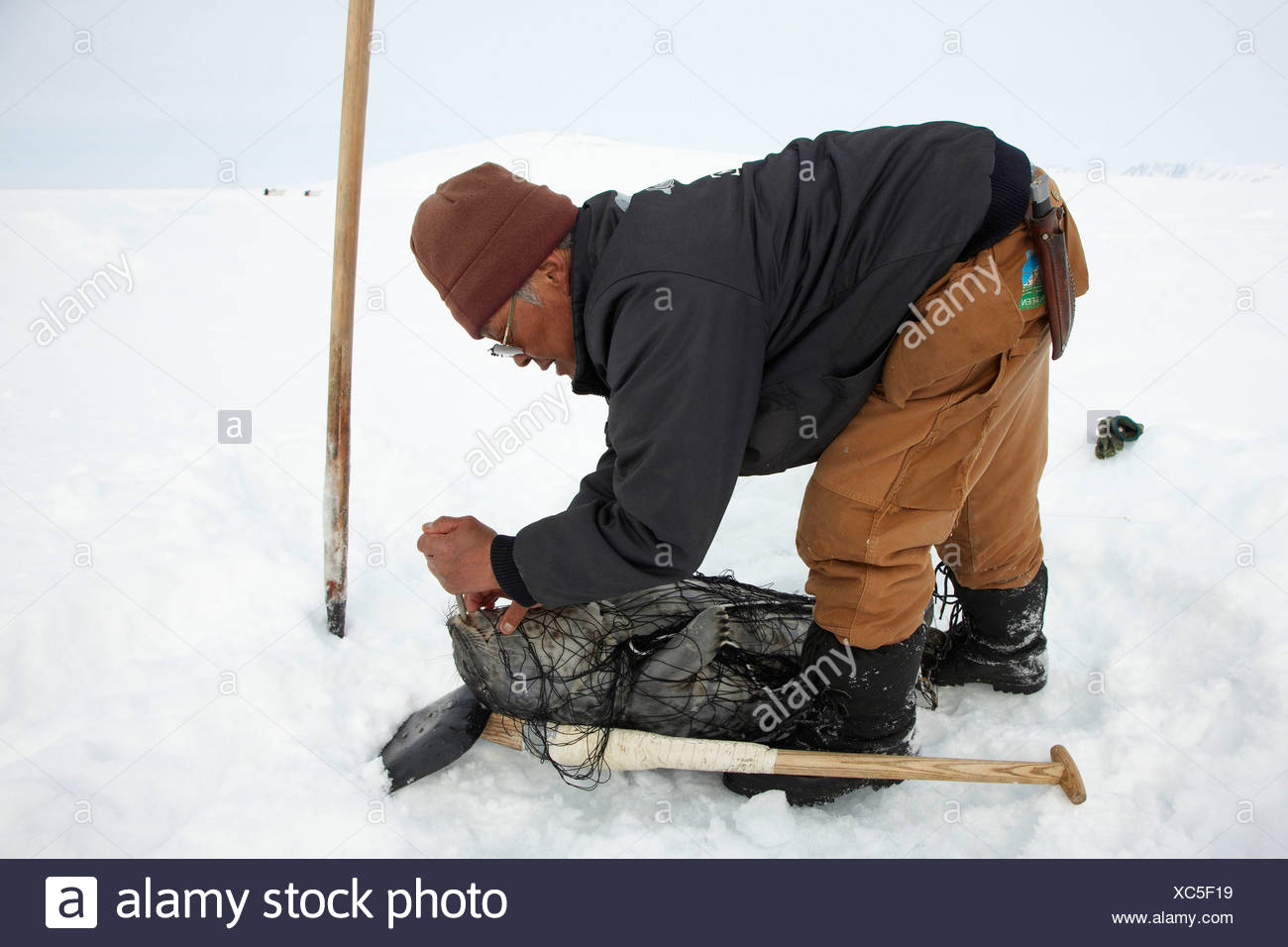 Hunted Down That Is Still Wrapped In The Net High Resolution Stock ...