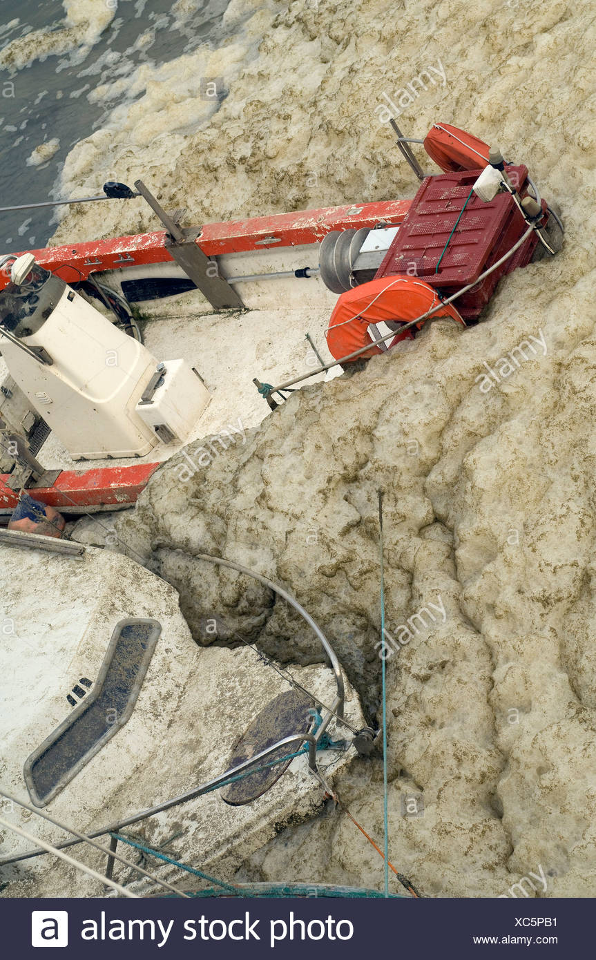Ocean Algae Bloom High Resolution Stock Photography and Images - Alamy
