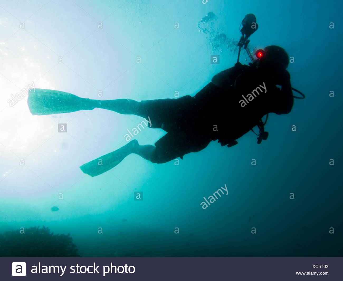 Scuba Diver Silhouette Stock Photos & Scuba Diver Silhouette Stock ...