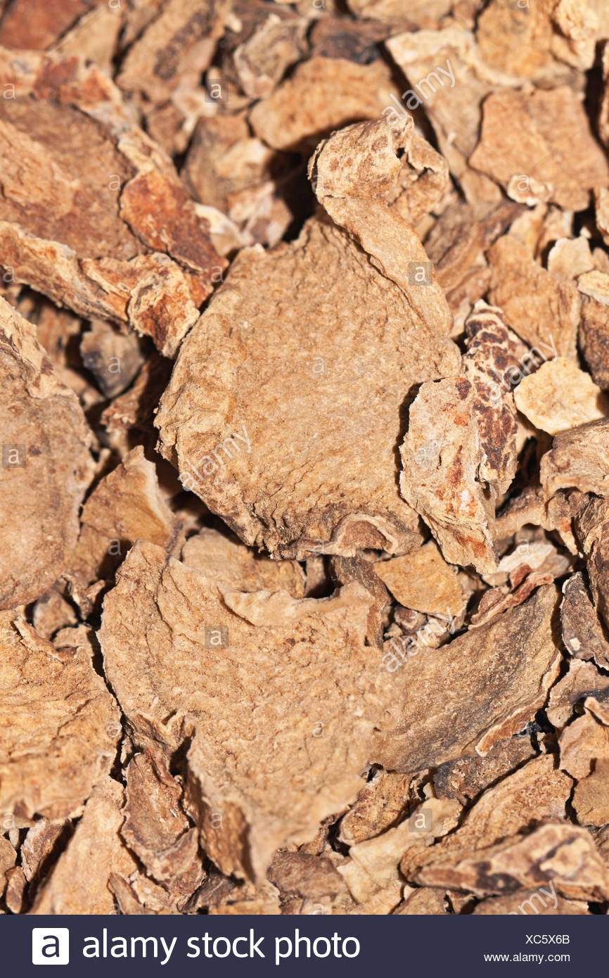 Osteoarthritis Therapy High Resolution Stock Photography and Images - Alamy