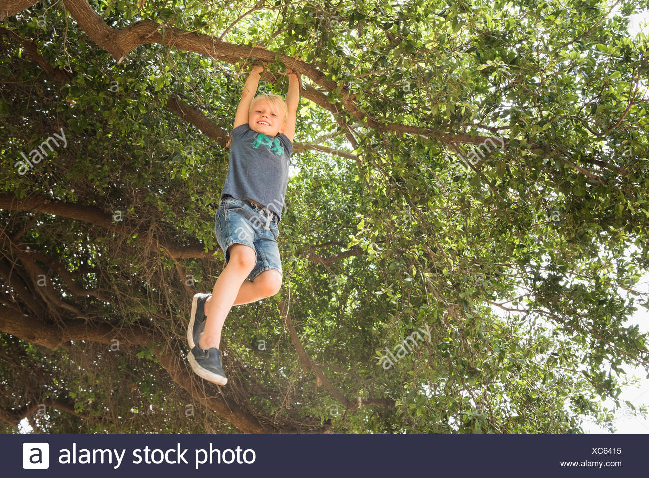 Boy Hanging From Branch Tree Stock Photos & Boy Hanging From Branch ...
