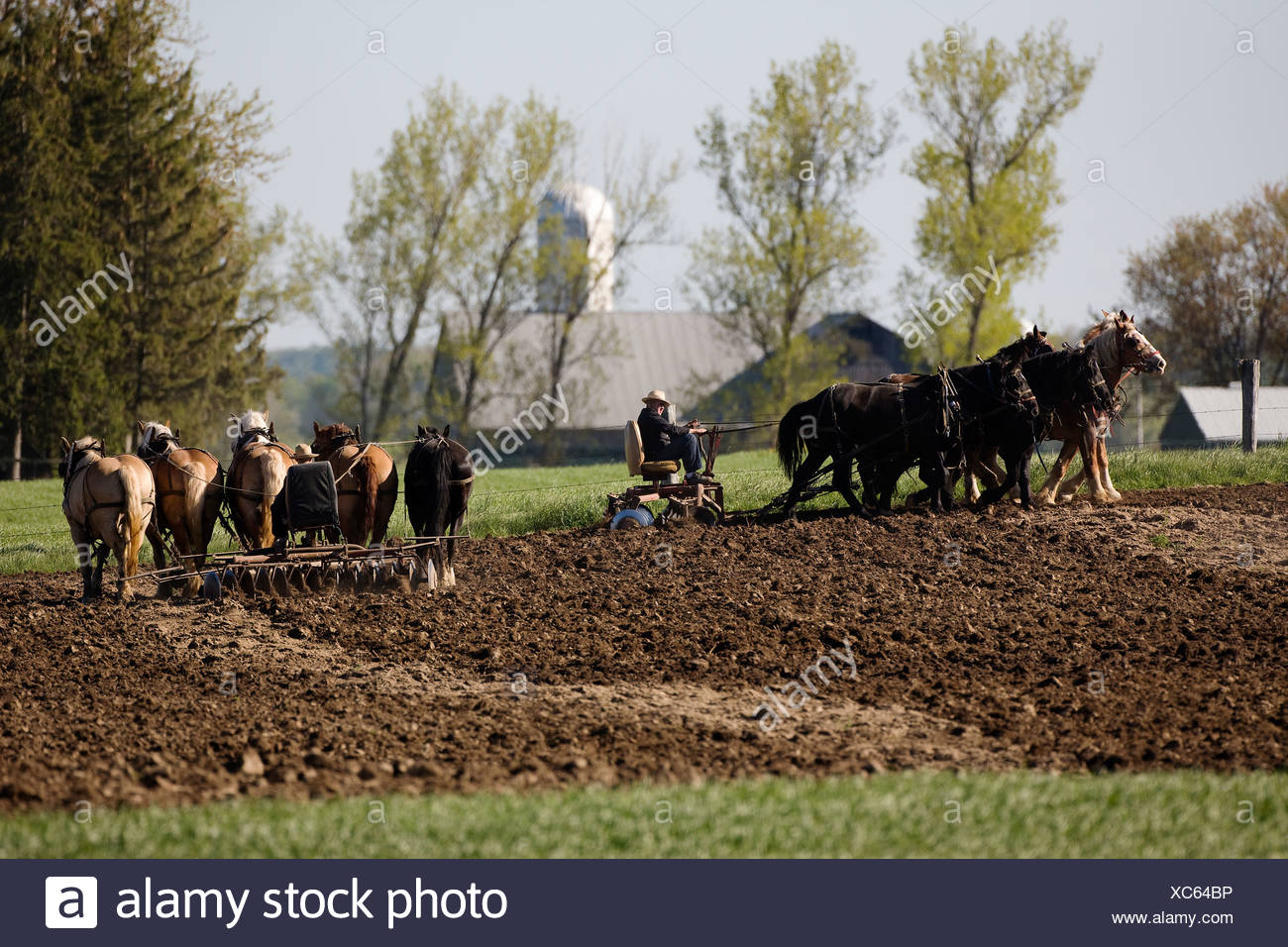 Ploughing Horse High Resolution Stock Photography and Images - Alamy
