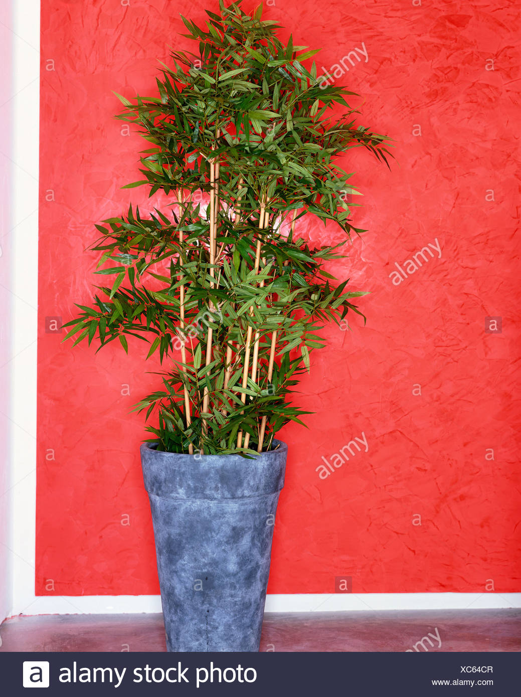 Asian Pot High Resolution Stock Photography and Images - Alamy
