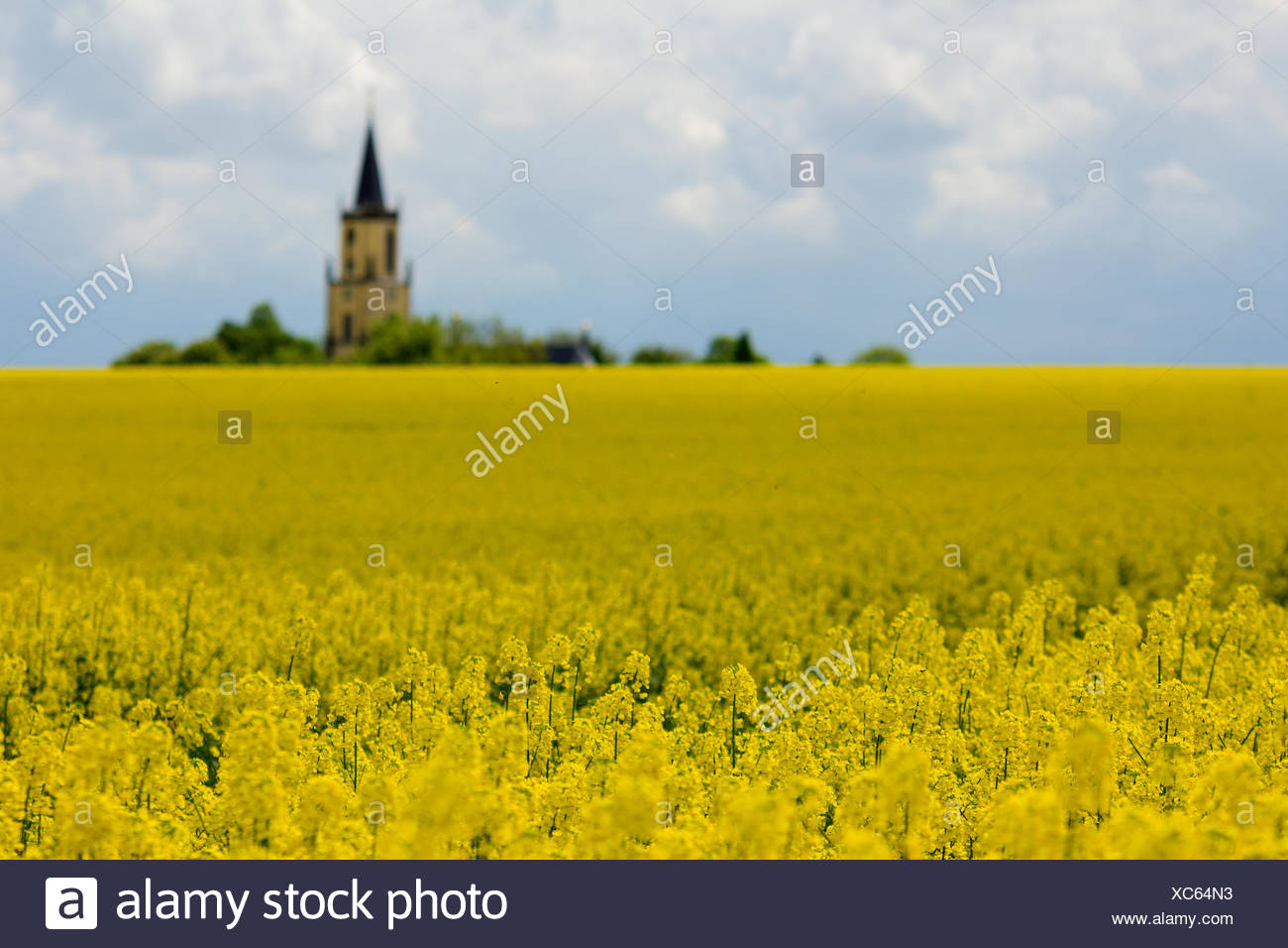 Rapc Stock Photos & Rapc Stock Images - Alamy