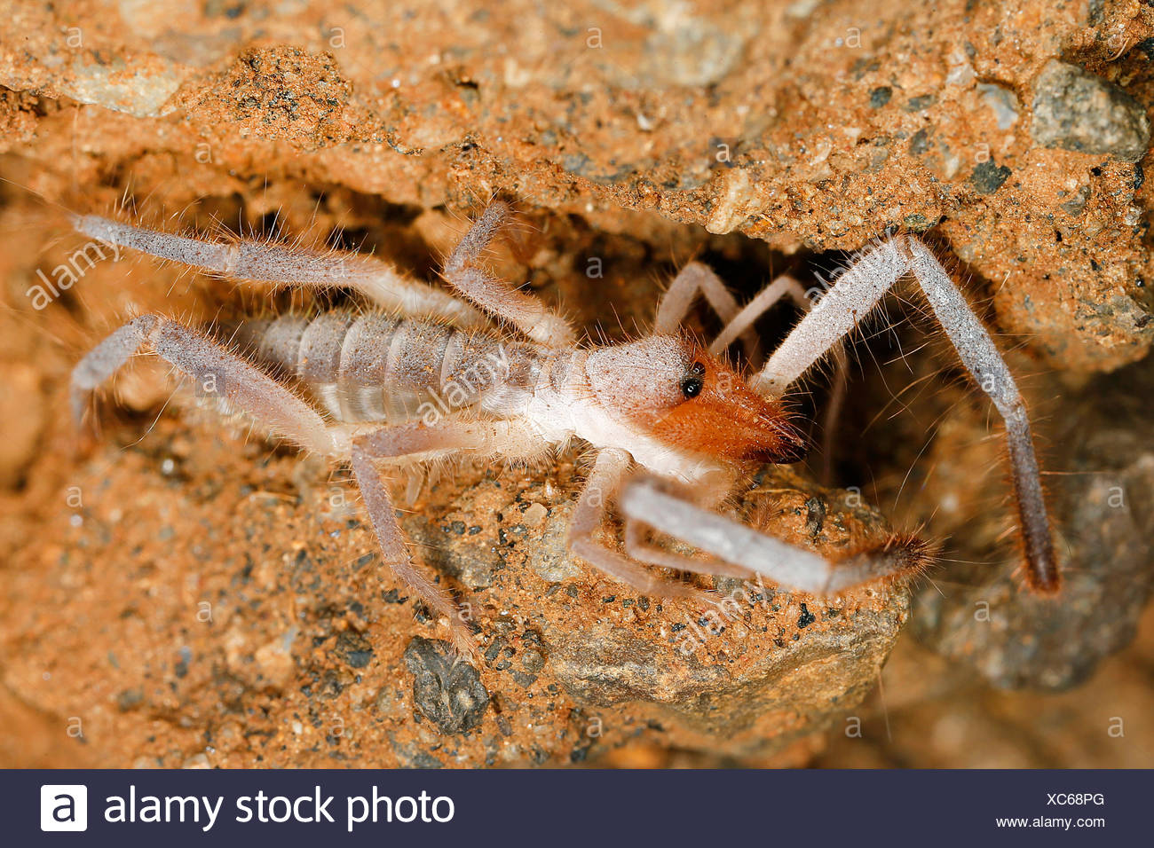 Auf Dem Boden Sitzend Stock Photos & Auf Dem Boden Sitzend Stock Images ...