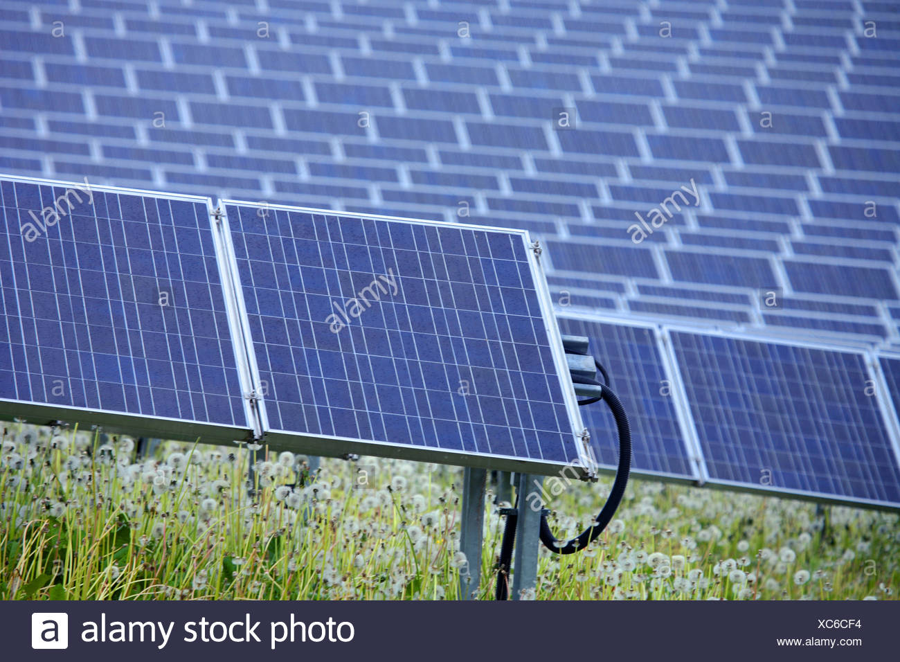 Solar Panel Plants High Resolution Stock Photography and Images - Alamy