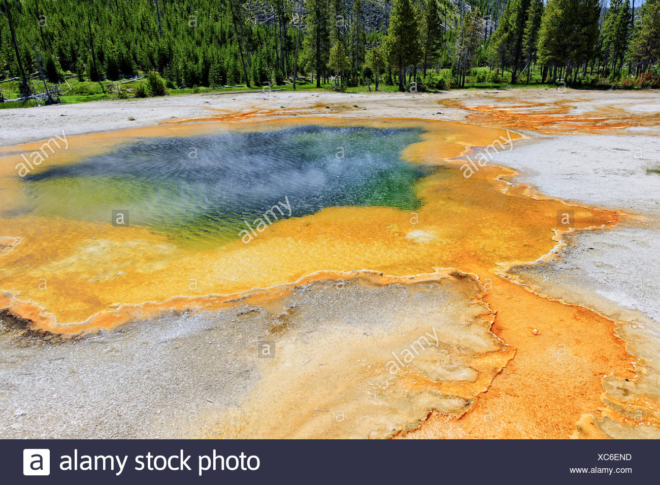 Emerald Spring Pool High Resolution Stock Photography and Images - Alamy