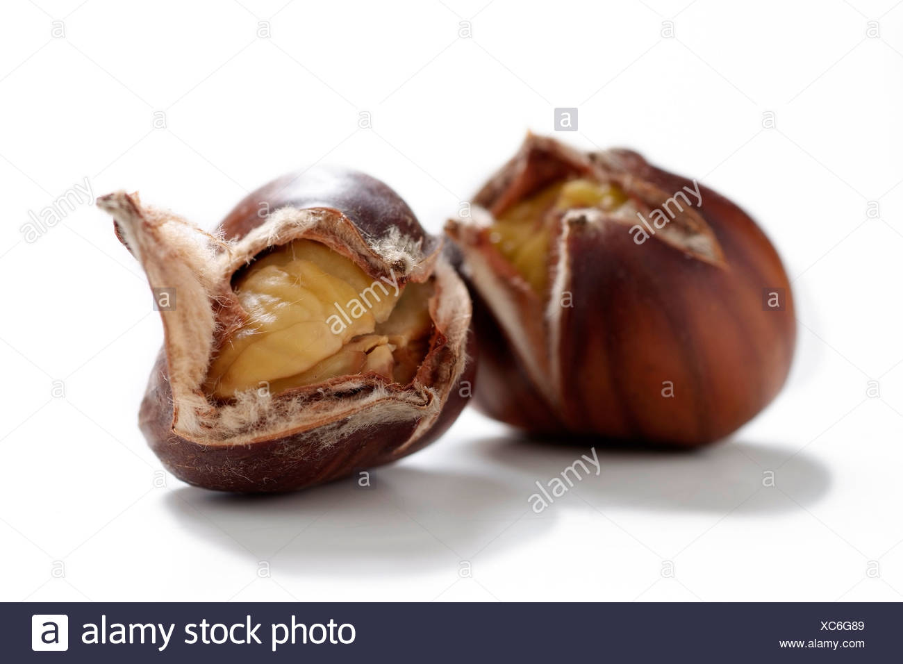 Single Nut Stock Photos & Single Nut Stock Images - Alamy
