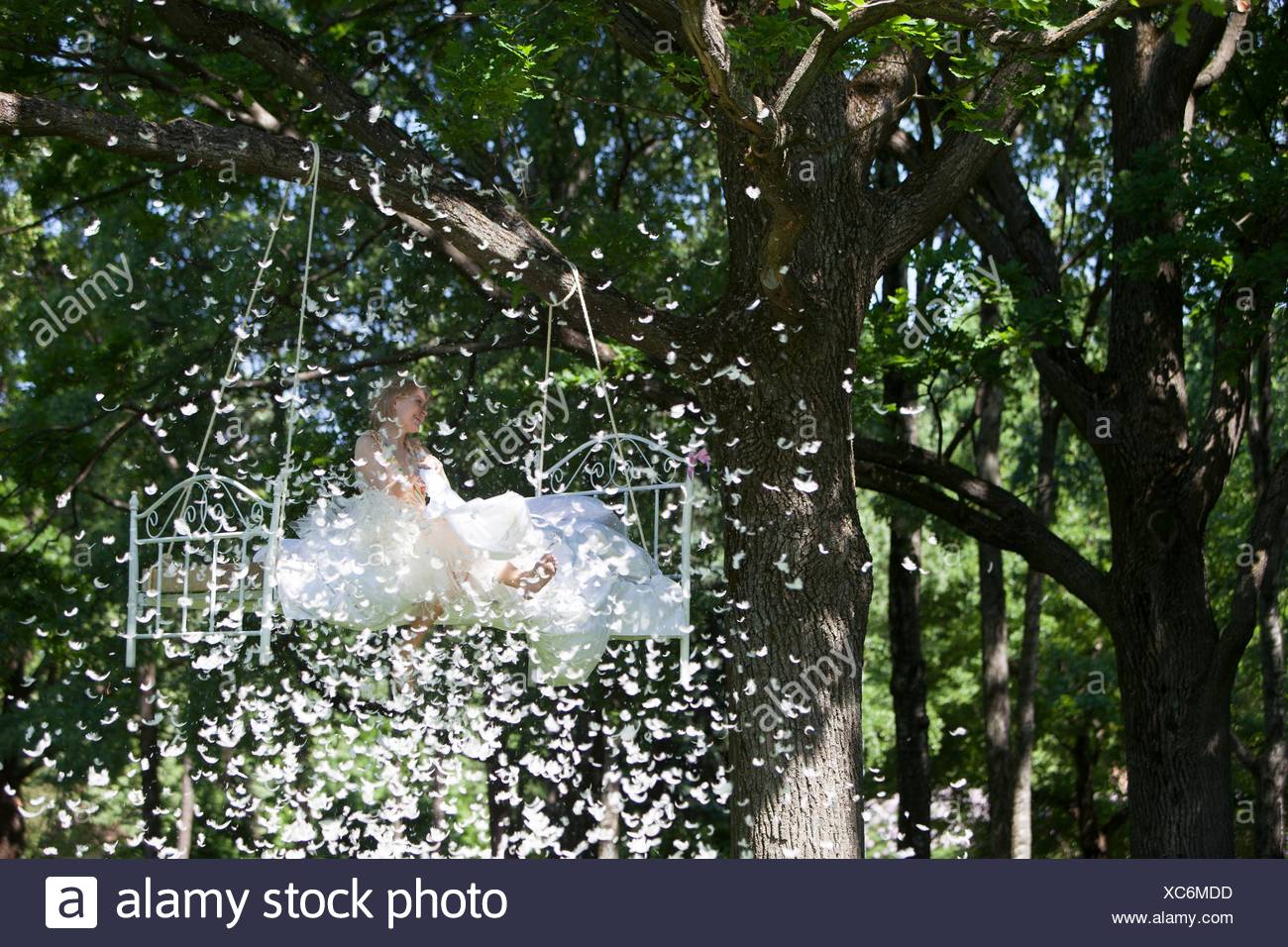 Person Falling From Tree High Resolution Stock Photography and Images ...
