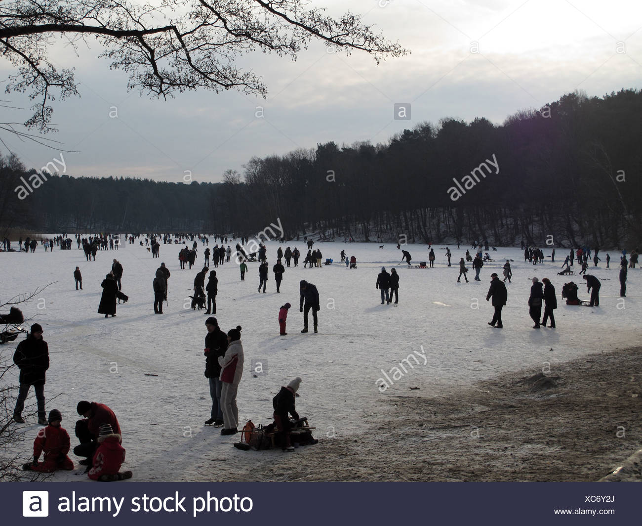 Krumme Lanke Berlin High Resolution Stock Photography and Images - Alamy
