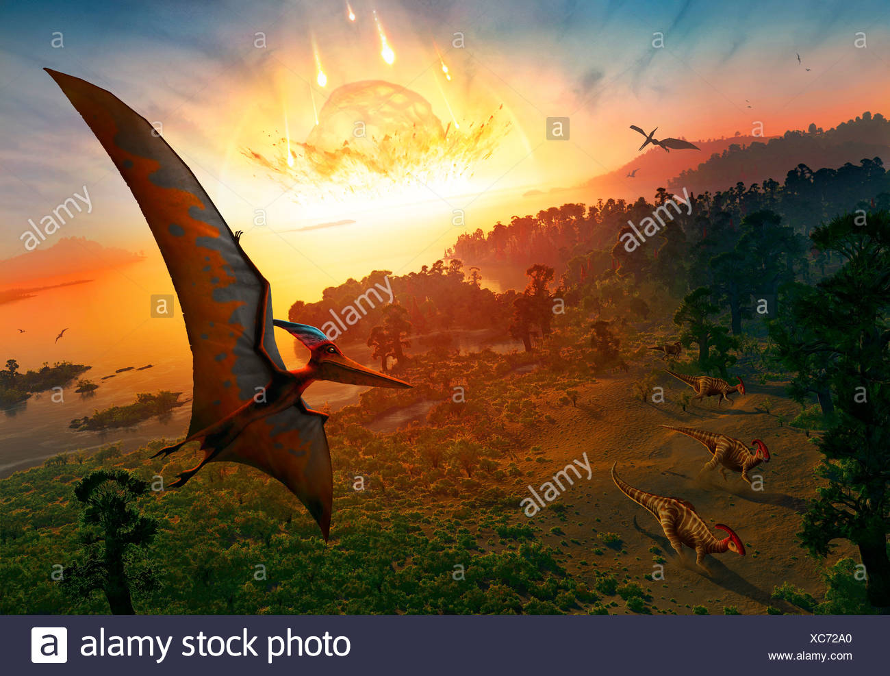 65 Million Years High Resolution Stock Photography and Images - Alamy