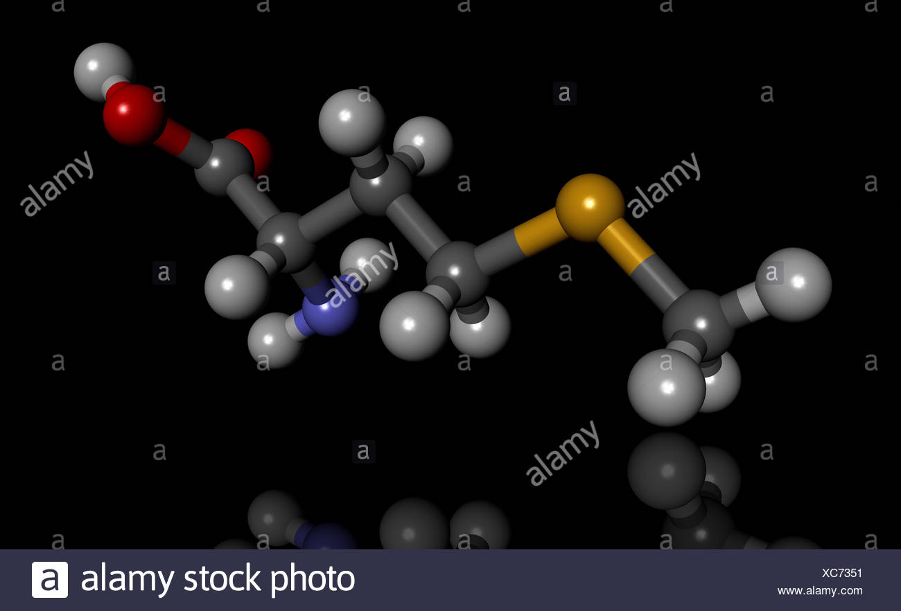 Methionine Stock Photos & Methionine Stock Images - Alamy