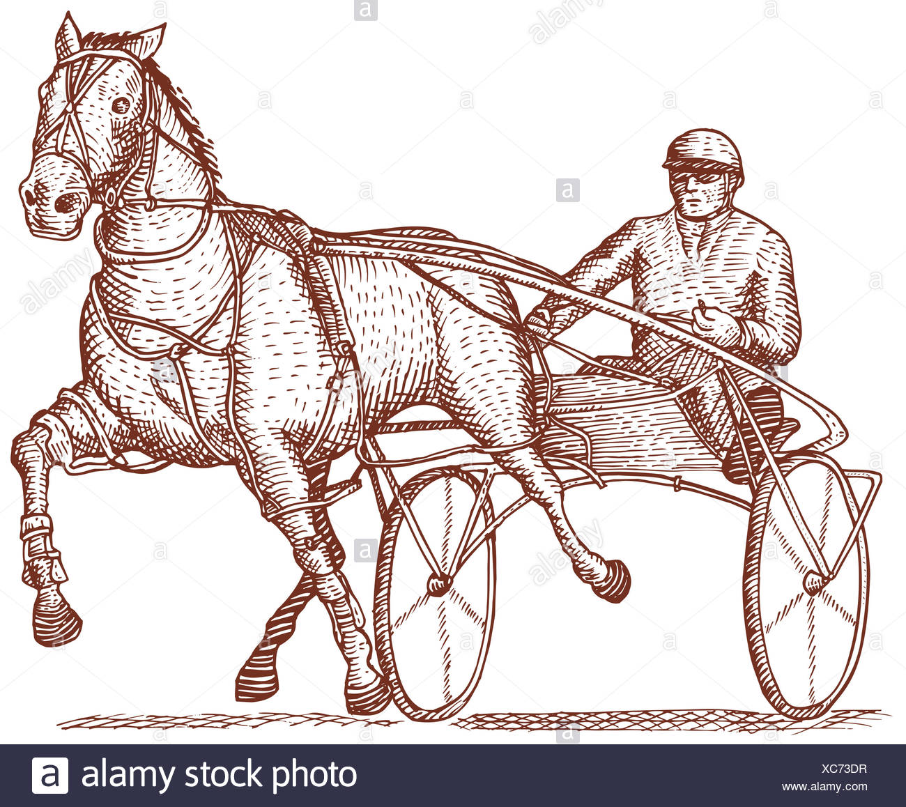Illustration Horse And Harness Racing High Resolution Stock Photography ...