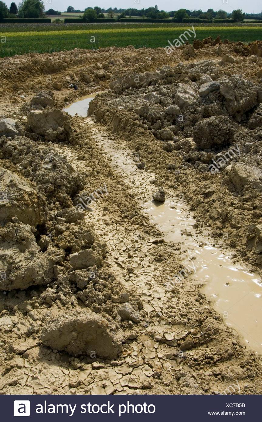 Poor Soil Drainage High Resolution Stock Photography and Images - Alamy