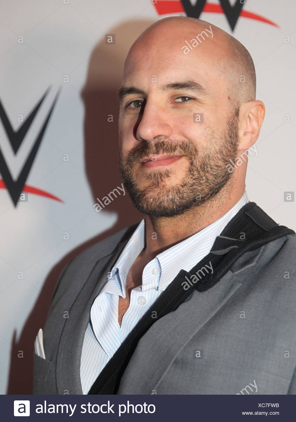 Wwe Superstar Cesaro High Resolution Stock Photography and Images - Alamy