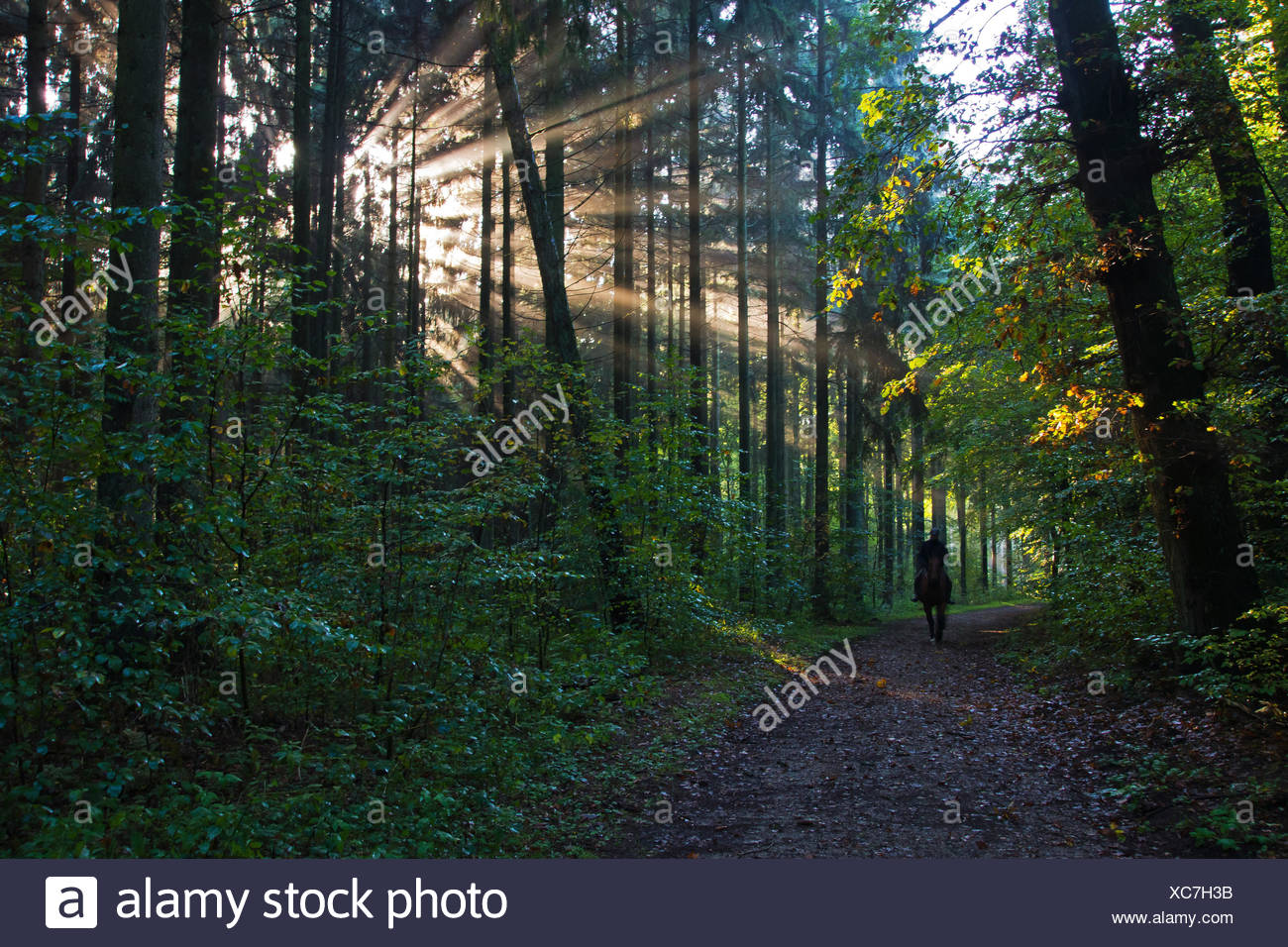 Sterley High Resolution Stock Photography and Images - Alamy