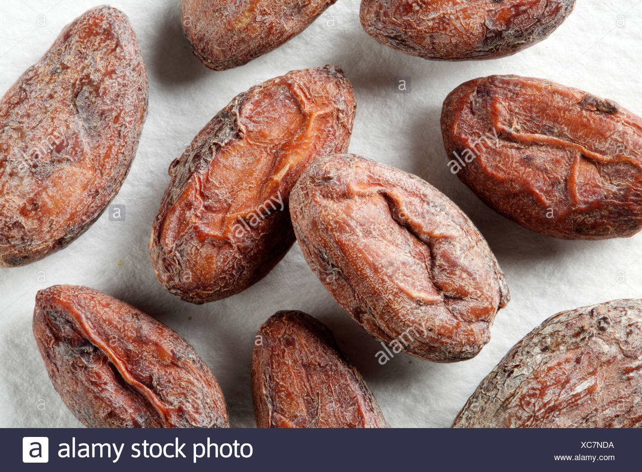 Tropical Bean High Resolution Stock Photography and Images - Alamy