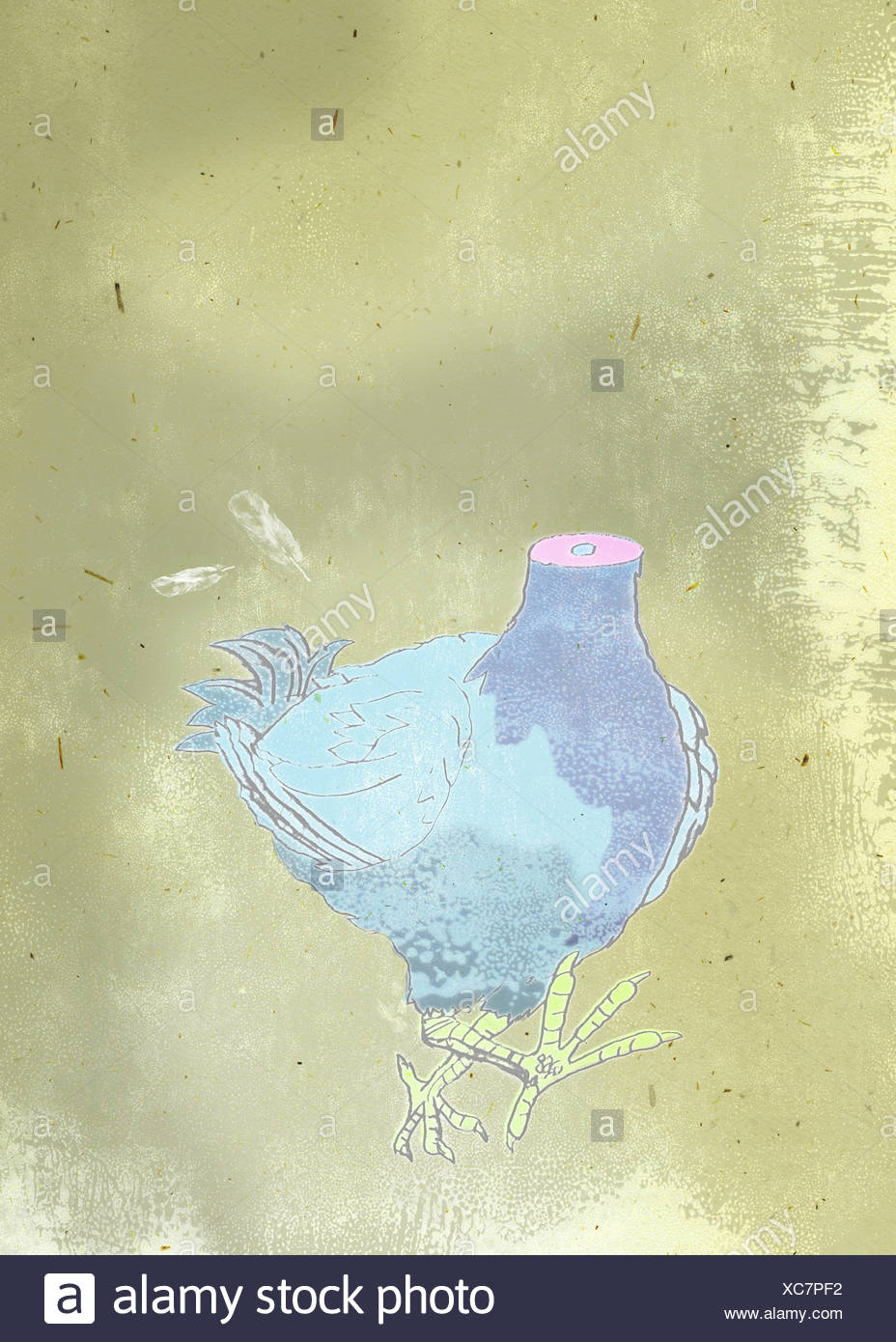 Headless Chicken Stock Photos & Headless Chicken Stock Images - Alamy
