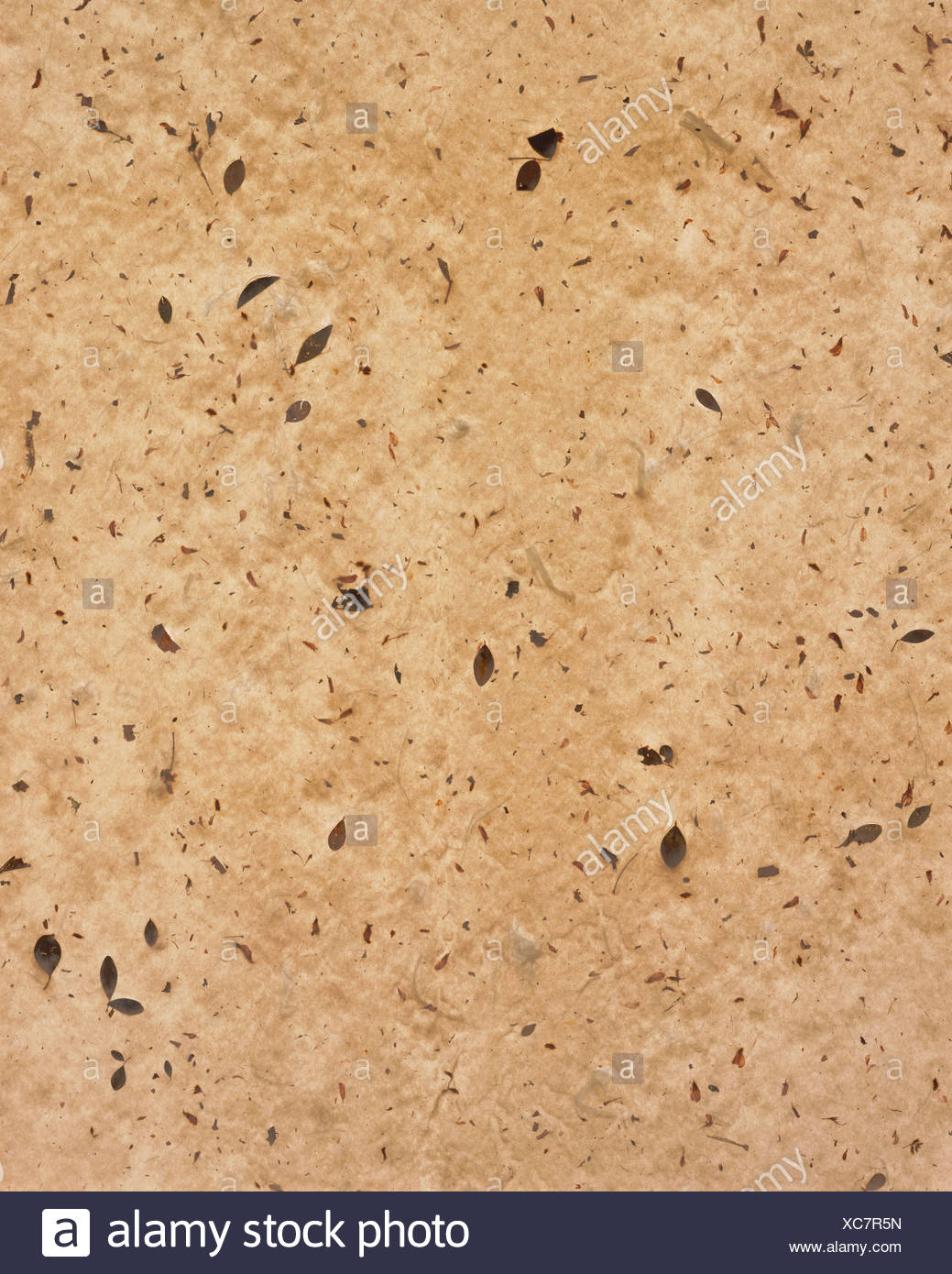 Woodchip Paper High Resolution Stock Photography and Images - Alamy