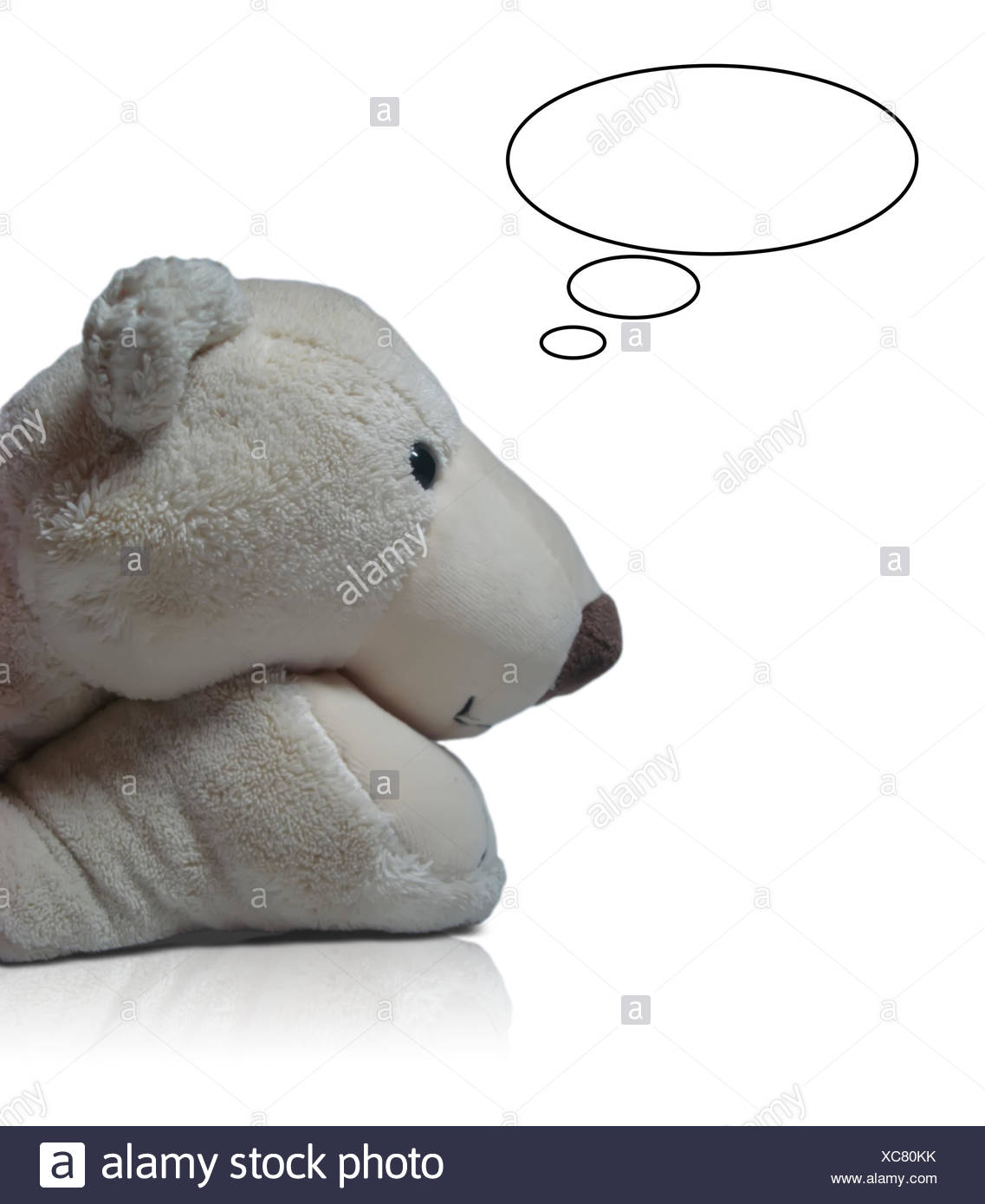 Bear Muzzle High Resolution Stock Photography and Images - Alamy