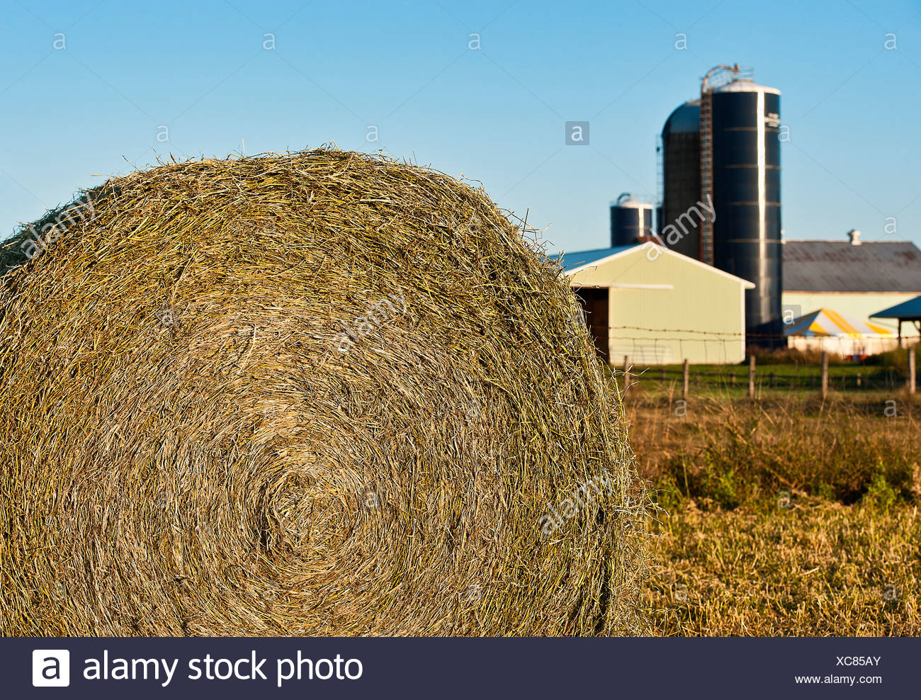 Hay Silo High Resolution Stock Photography and Images - Alamy