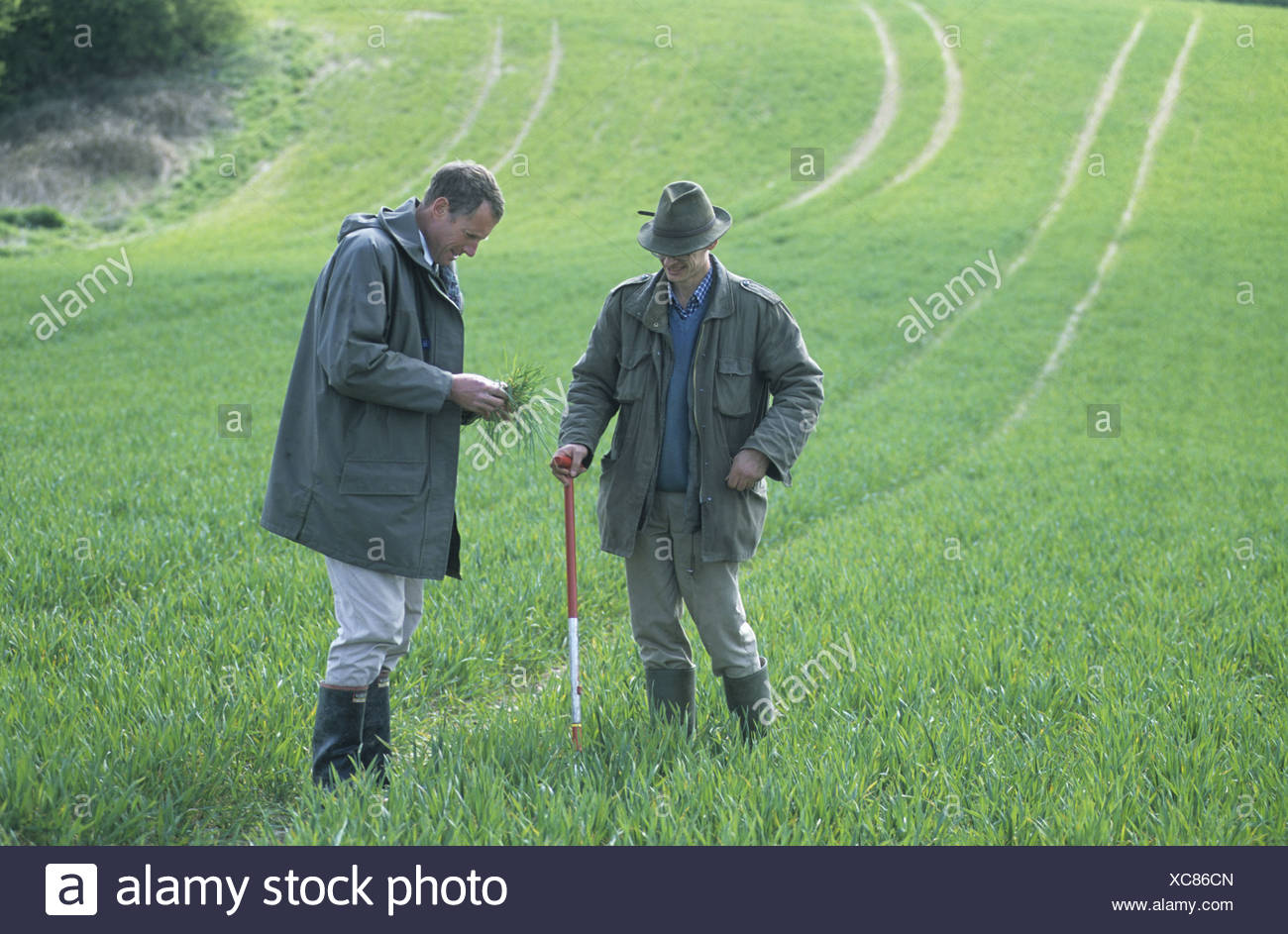 British Farmer Stock Photos & British Farmer Stock Images - Alamy