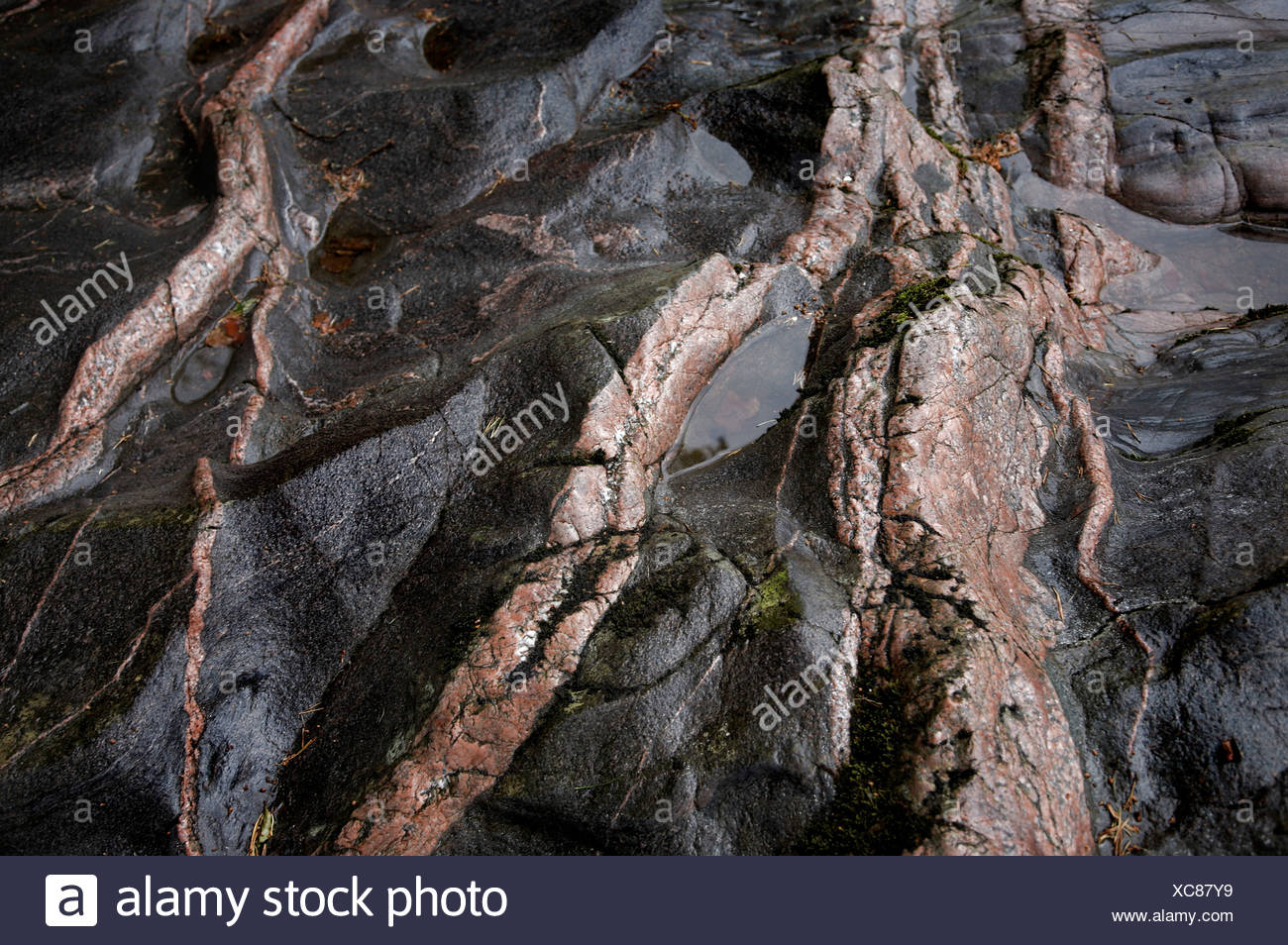 Rock Veins Stock Photos & Rock Veins Stock Images - Alamy