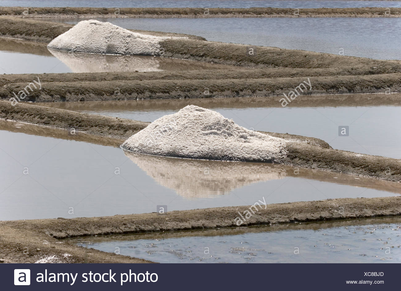 The Salt Of The Earth High Resolution Stock Photography and Images - Alamy
